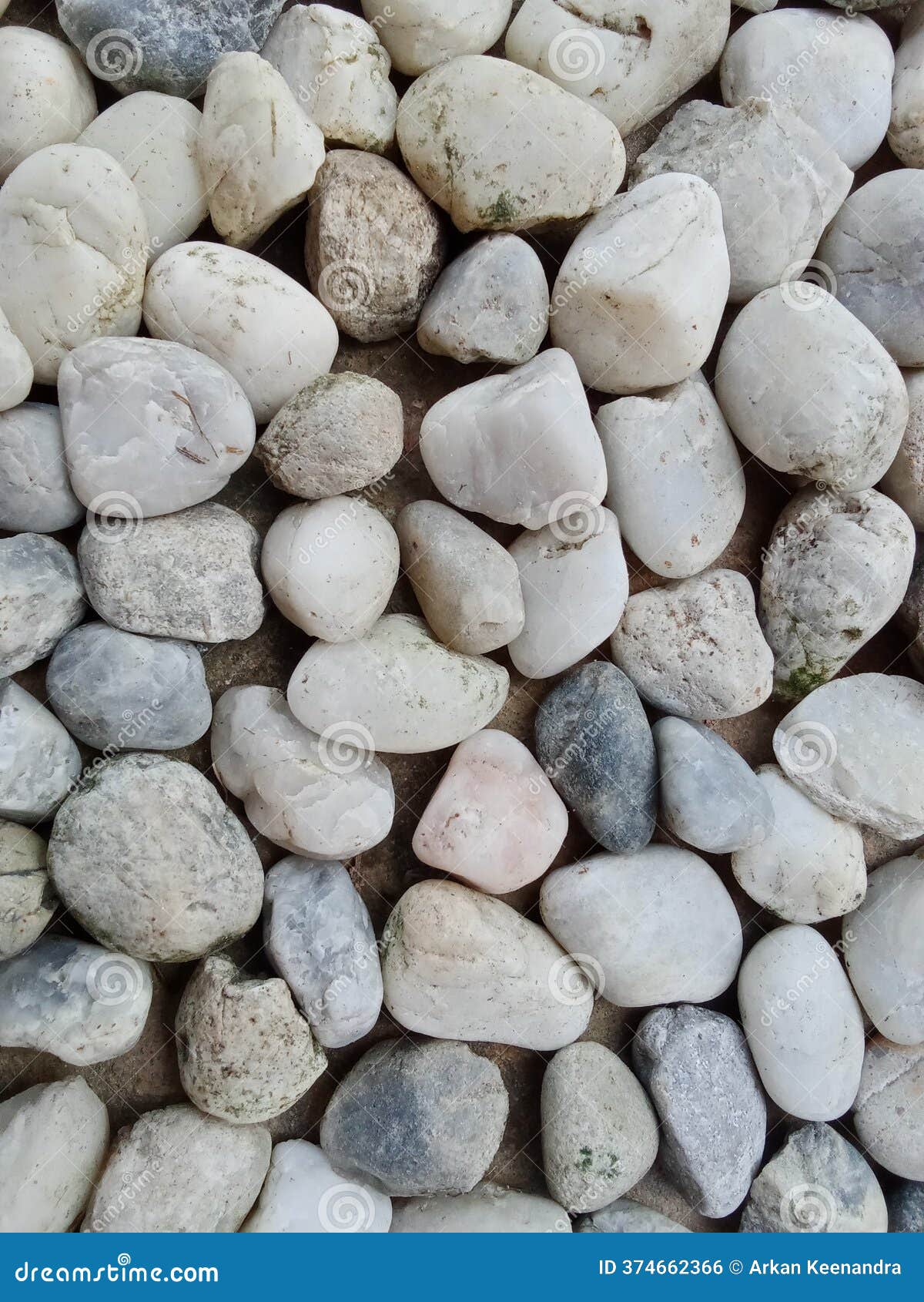 Small Pebble Rock Background Texture Royalty-Free Stock Photography ...