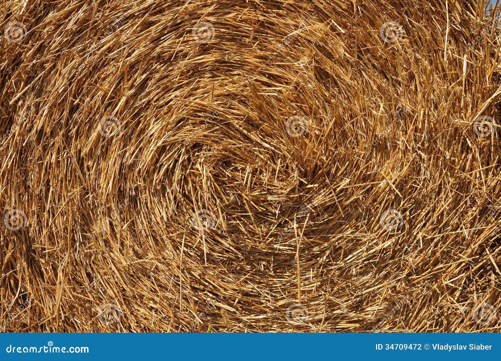 Natural Background of Straw Stock Photo - Image of background, branch ...