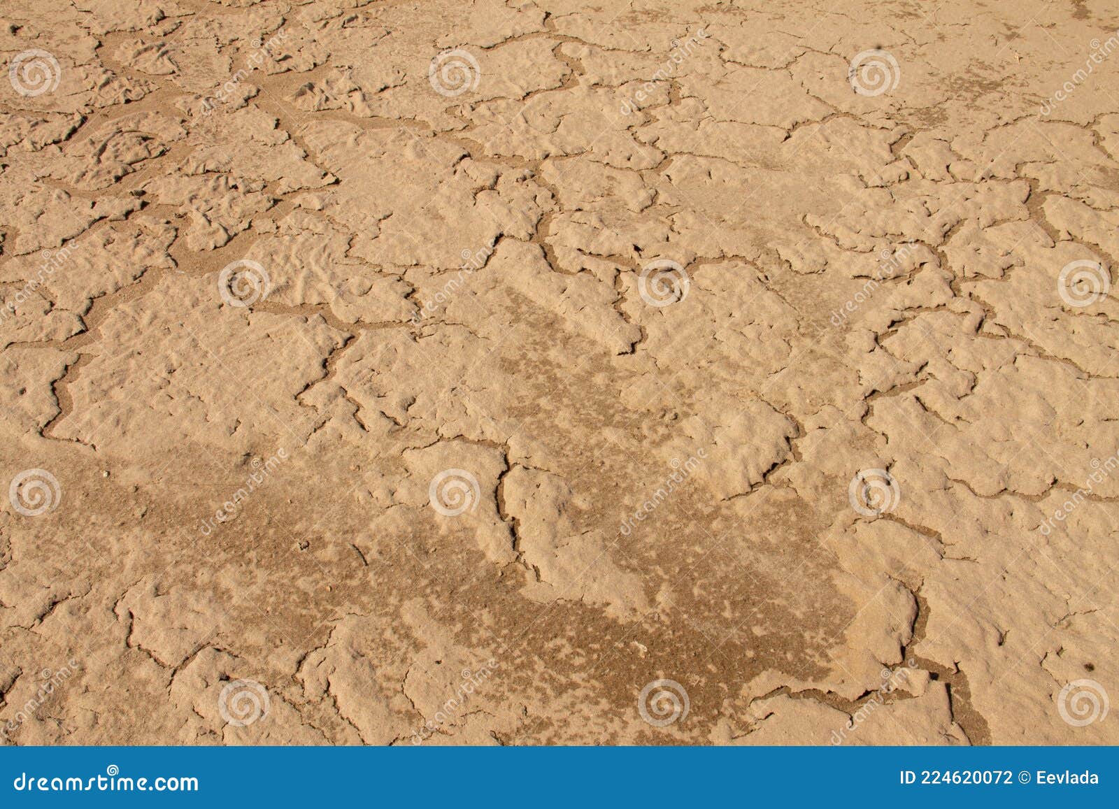 Texture sandy beach stock photo. Image of natural, background - 224620072