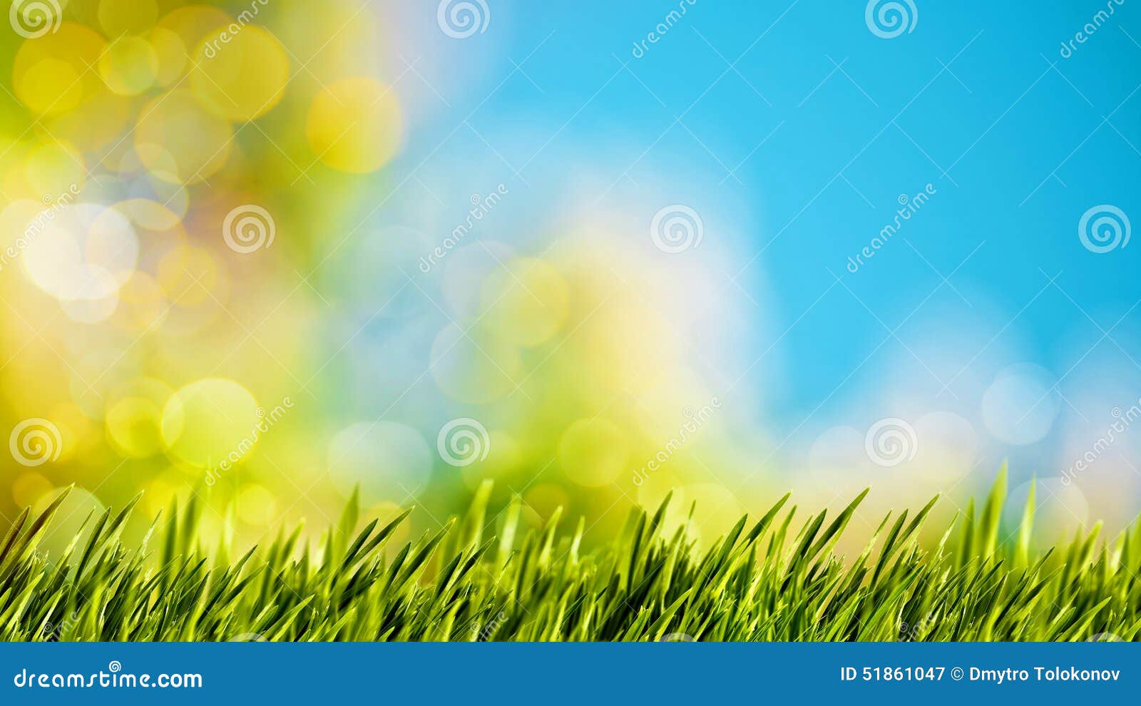 Green Foliage Background, Leaf Texture, Bush, Bright Vibrant Colors ...