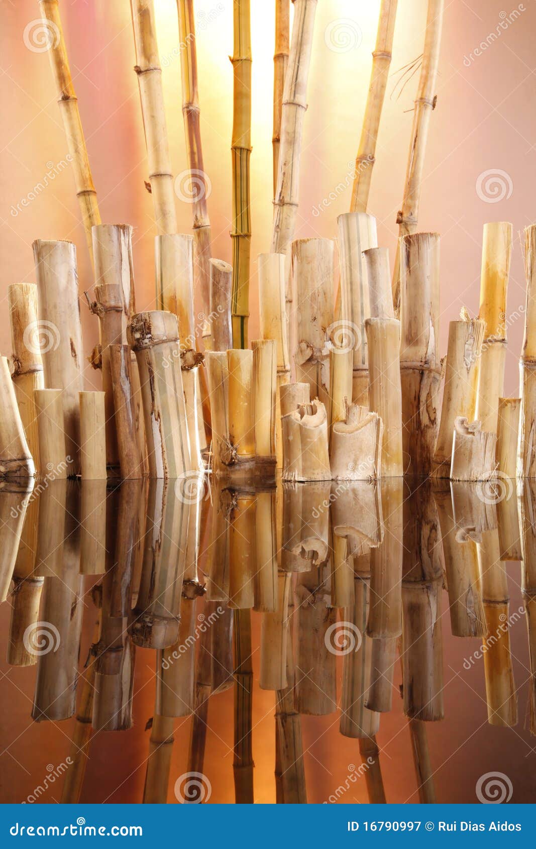 Natural bamboo stock image. Image of chinese, bundle - 16790997