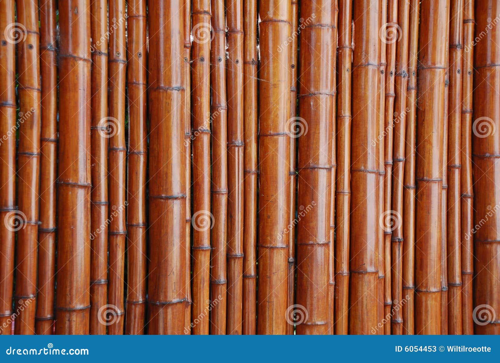 Natural Bamboo Wood Wall Texture With Seamless Vertical Patterns On ...