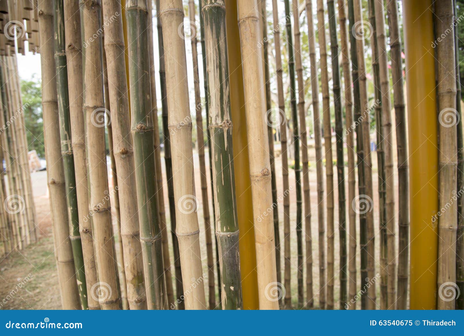 Natural bamboo stock image. Image of thai, house, bark - 63540675