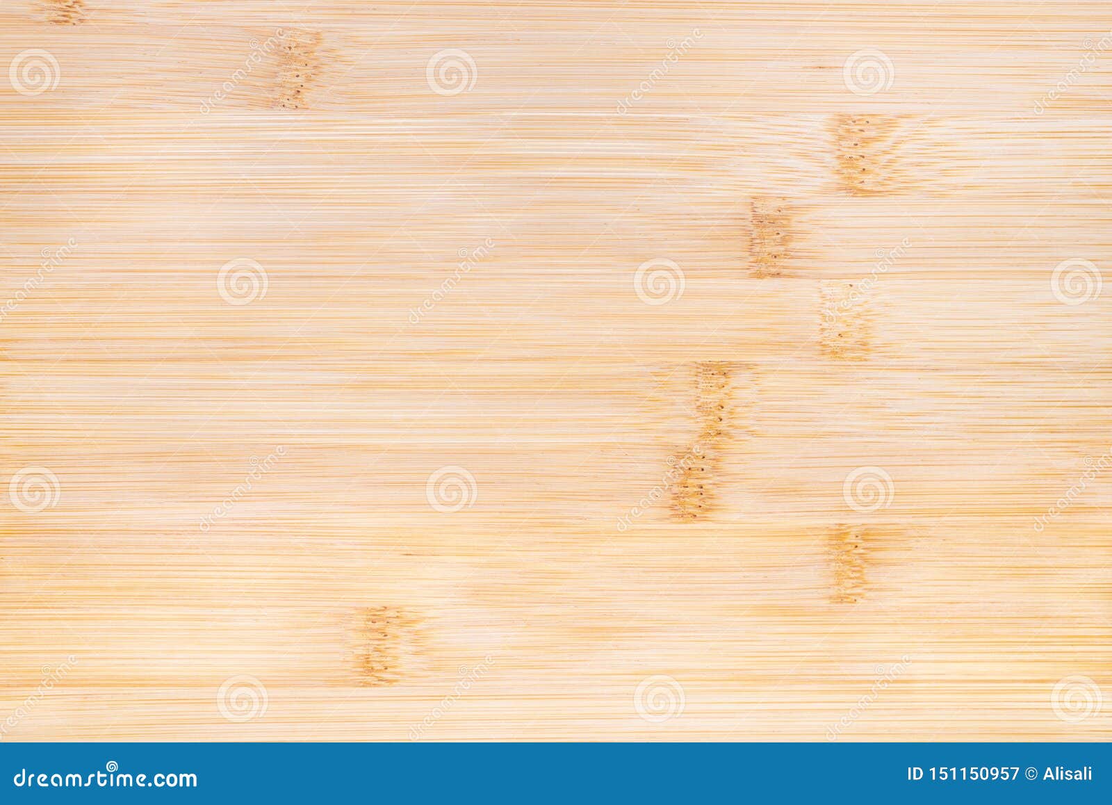Bamboo Light Texture, Tree Background Stock Image - Image of pattern ...