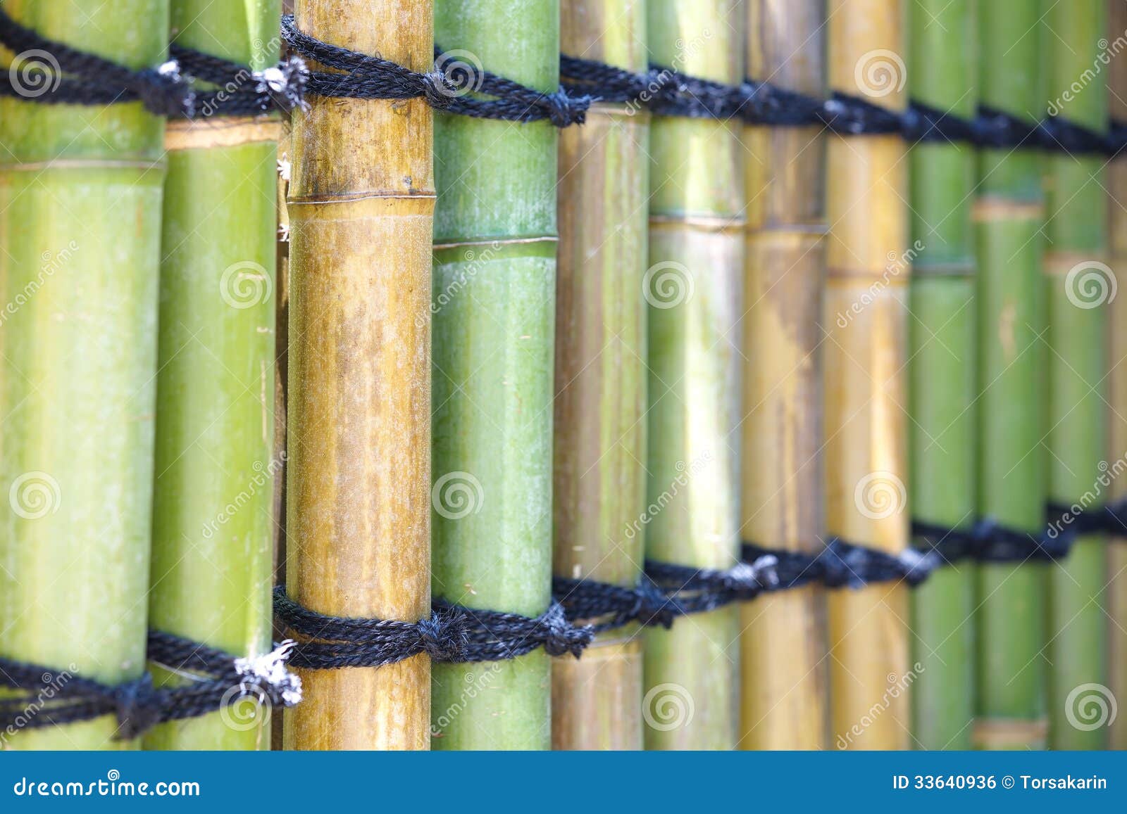Natural bamboo texture stock photo. Image of abstract - 33640936