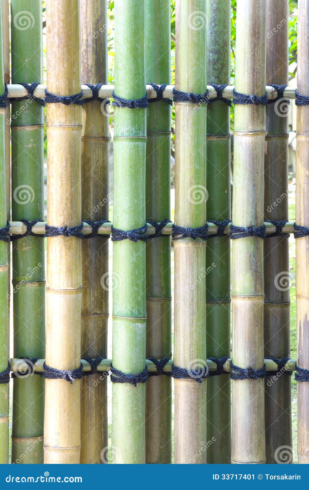 Natural bamboo texture stock image. Image of natural - 33717401