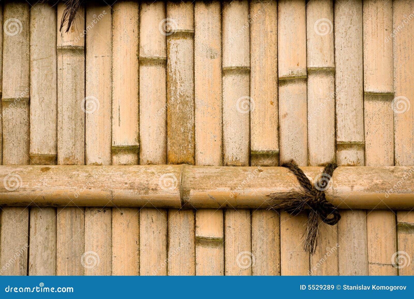 Natural bamboo wall stock image. Image of natural, india - 5529289