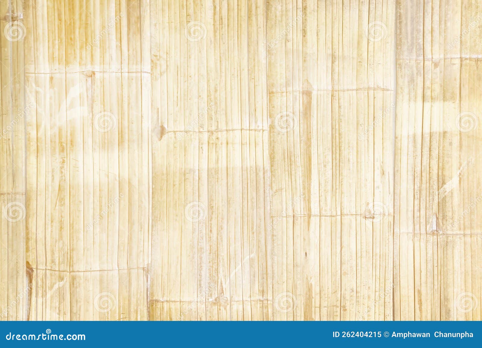 Natural Bamboo Wood Wall Texture With Seamless Vertical Patterns On ...