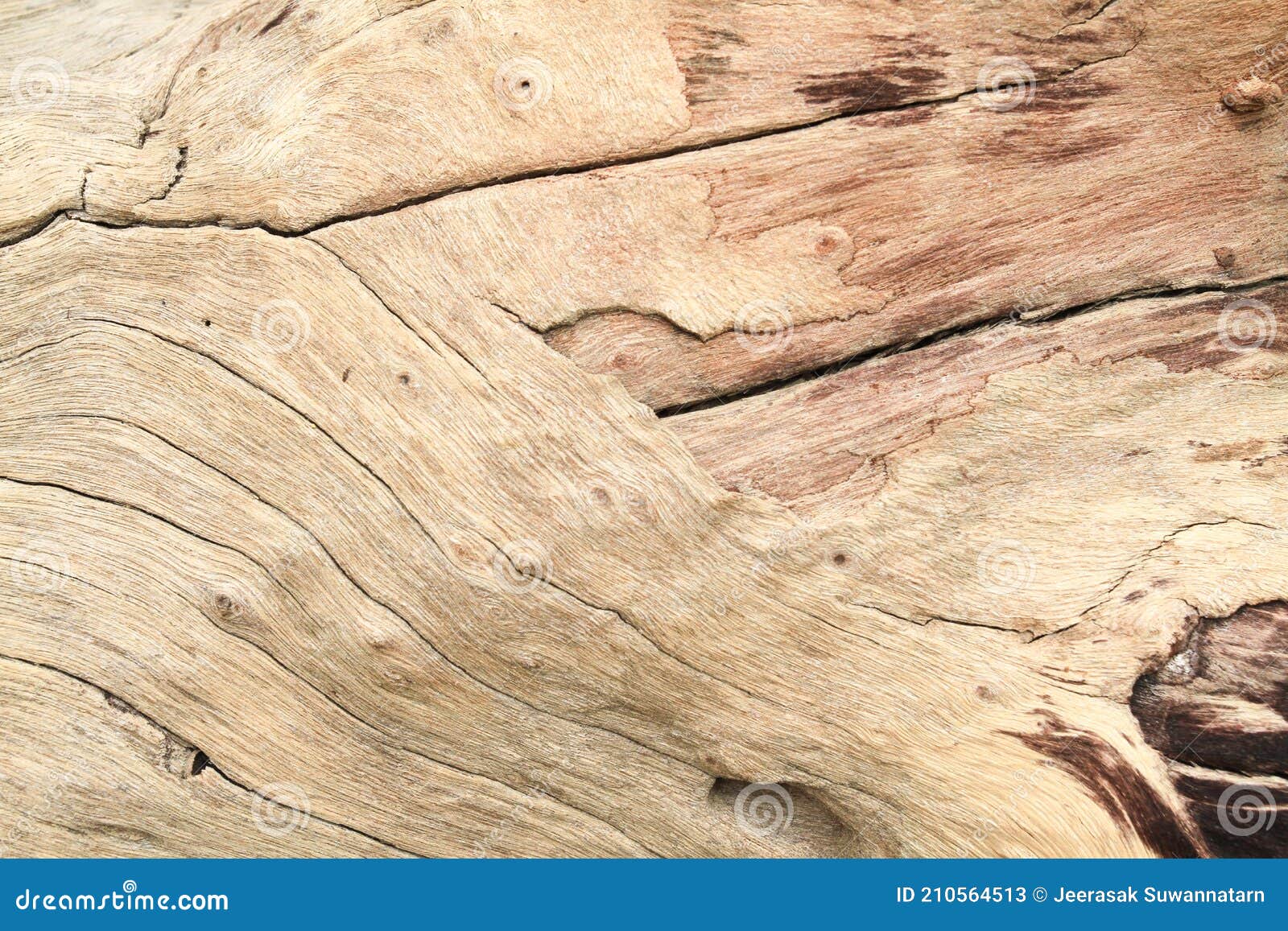 Natural Bare Wood Texture Pattern 014 Stock Image - Image of soil ...