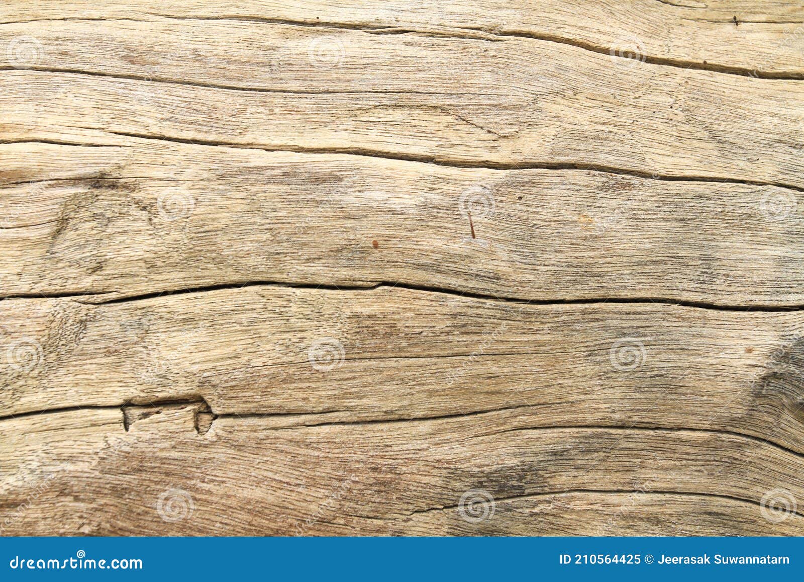 Natural Bare Wood Texture Pattern 016 Stock Image - Image of geology ...
