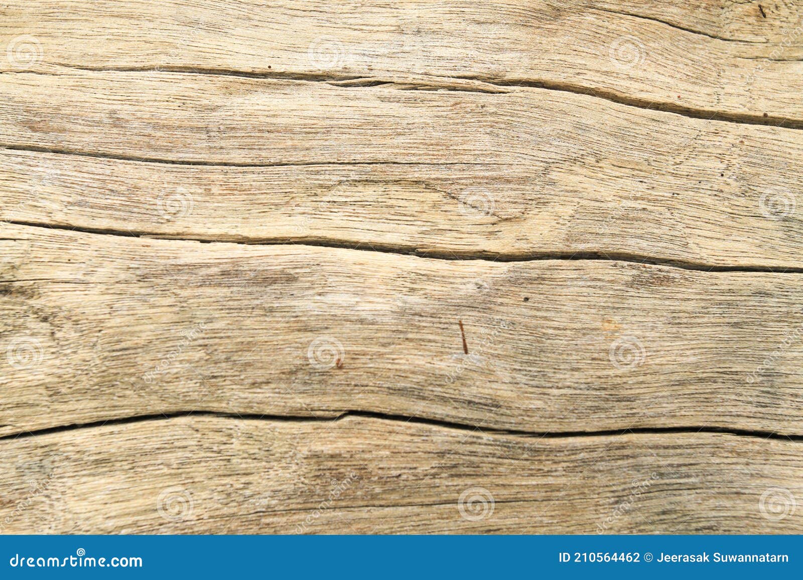 Natural Bare Wood Texture Pattern 015 Stock Photo - Image of leaf ...
