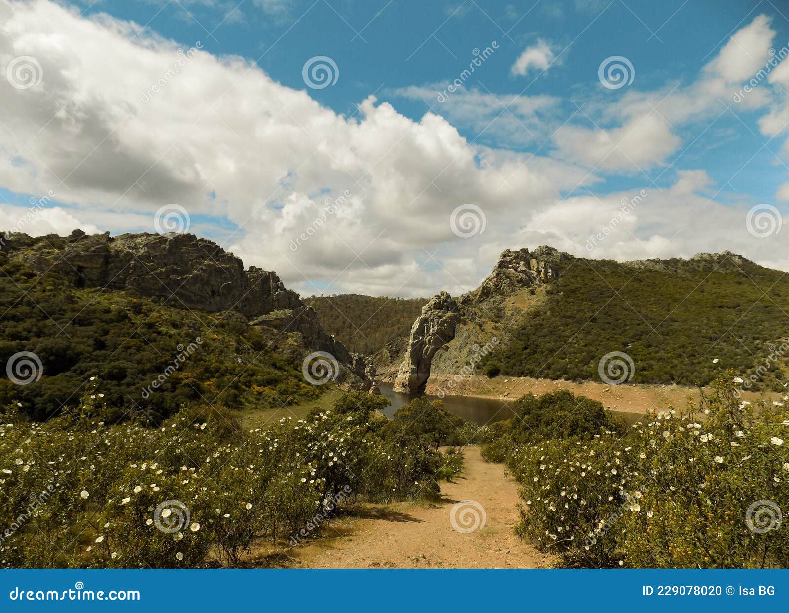 Natural barrier stock photo. Image of rock, natural - 229078020
