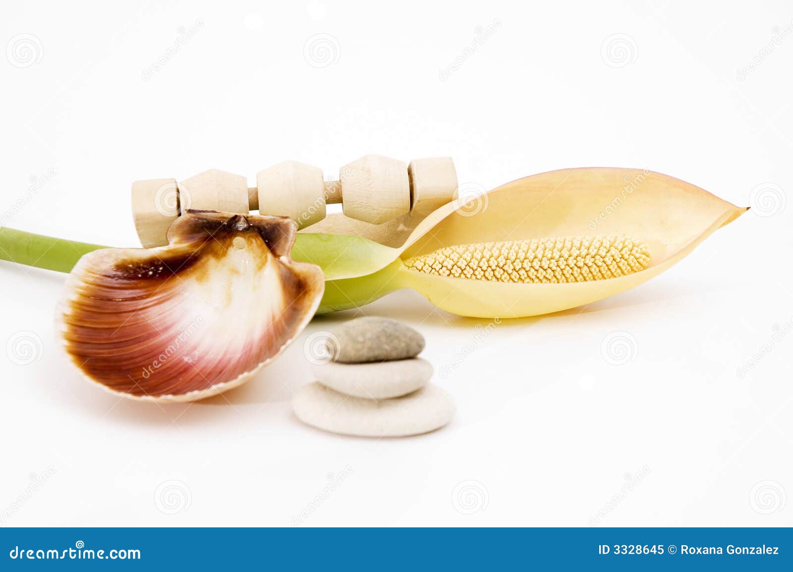 Natural bath elements stock image. Image of bathtub, health - 3328645