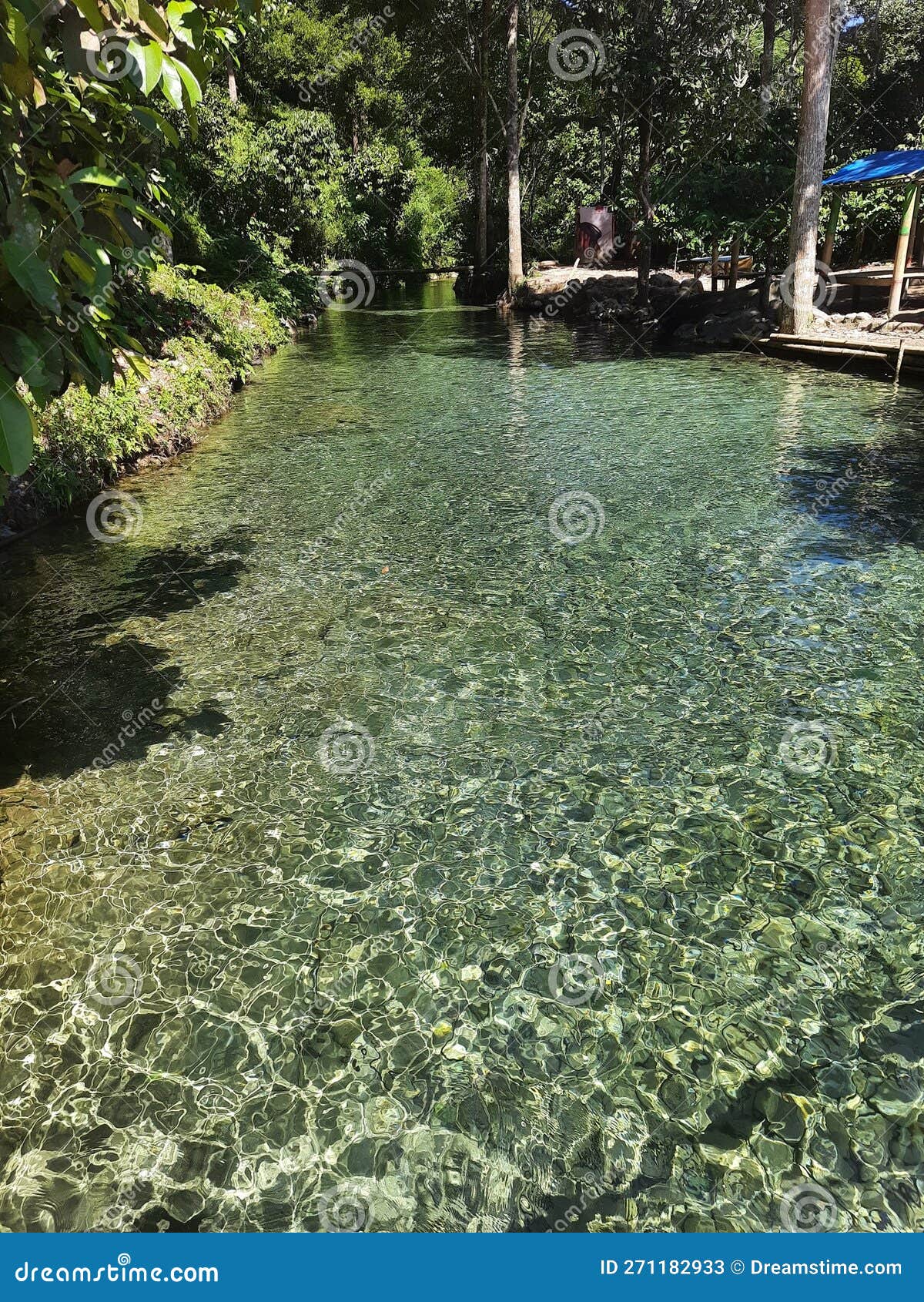Natural bathing place stock image. Image of water, forest - 271182933