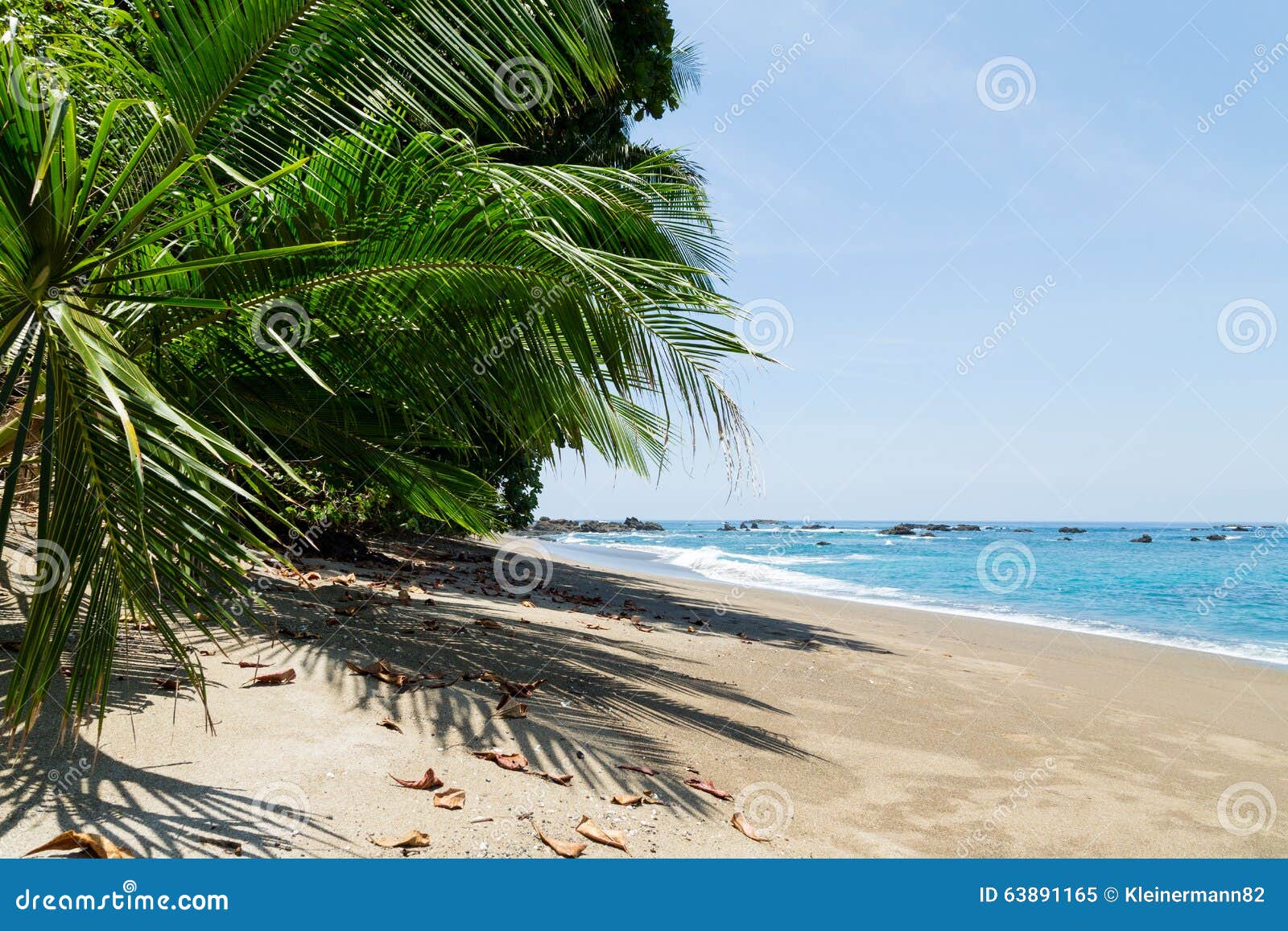 A natural beach stock image. Image of outdoor, tropics - 63891165