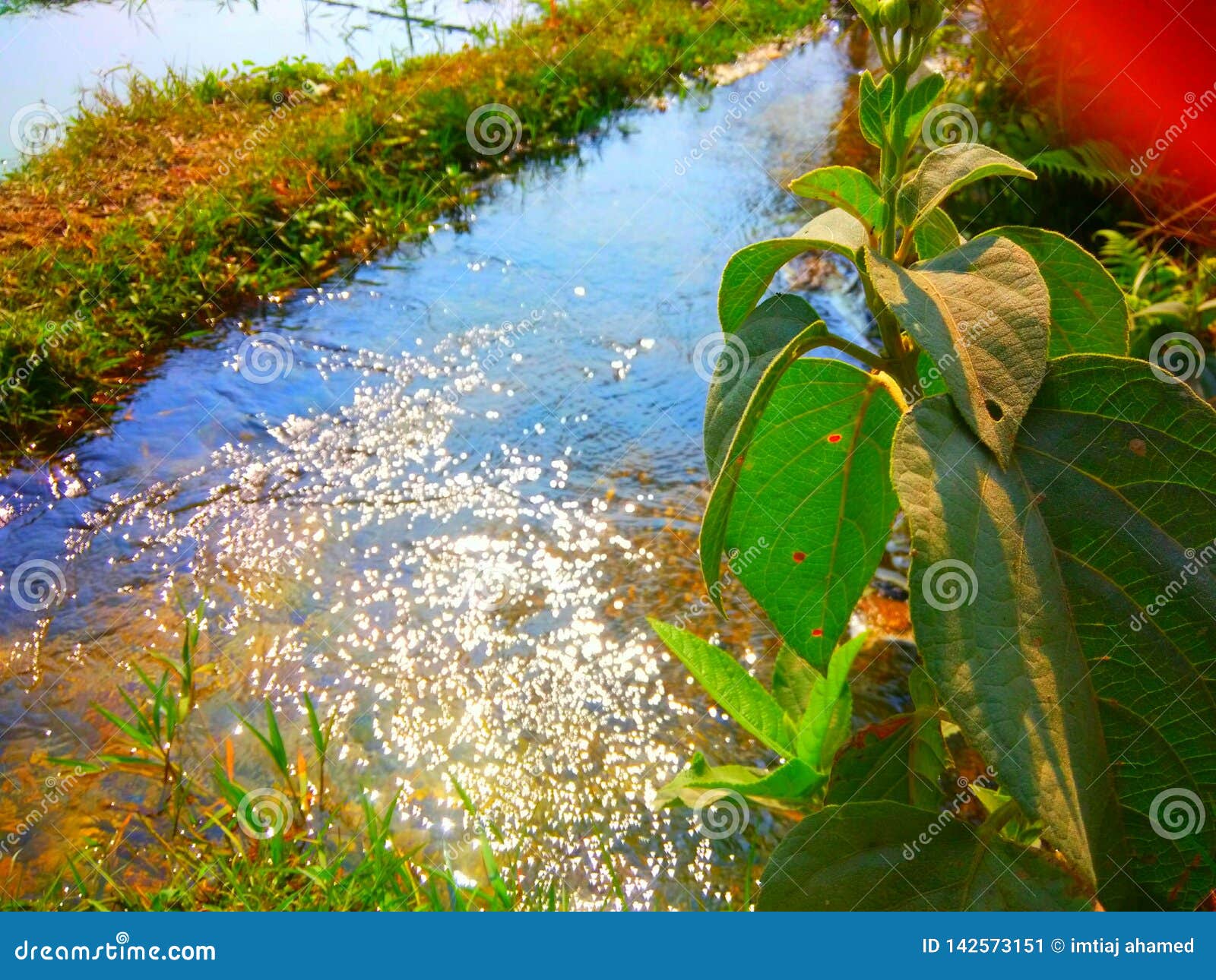 Natural Beautiful Amazing Heavy Stock Image - Image of heavy, beautiful ...