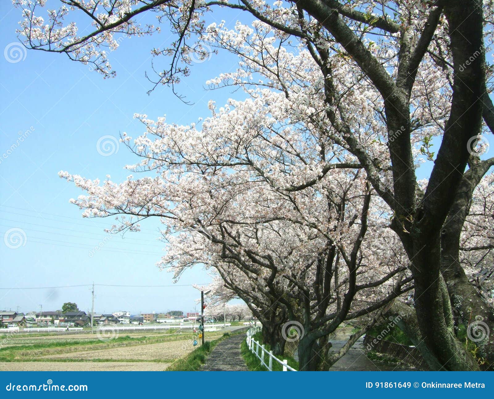 Natural beautiful stock image. Image of time, natural - 91861649