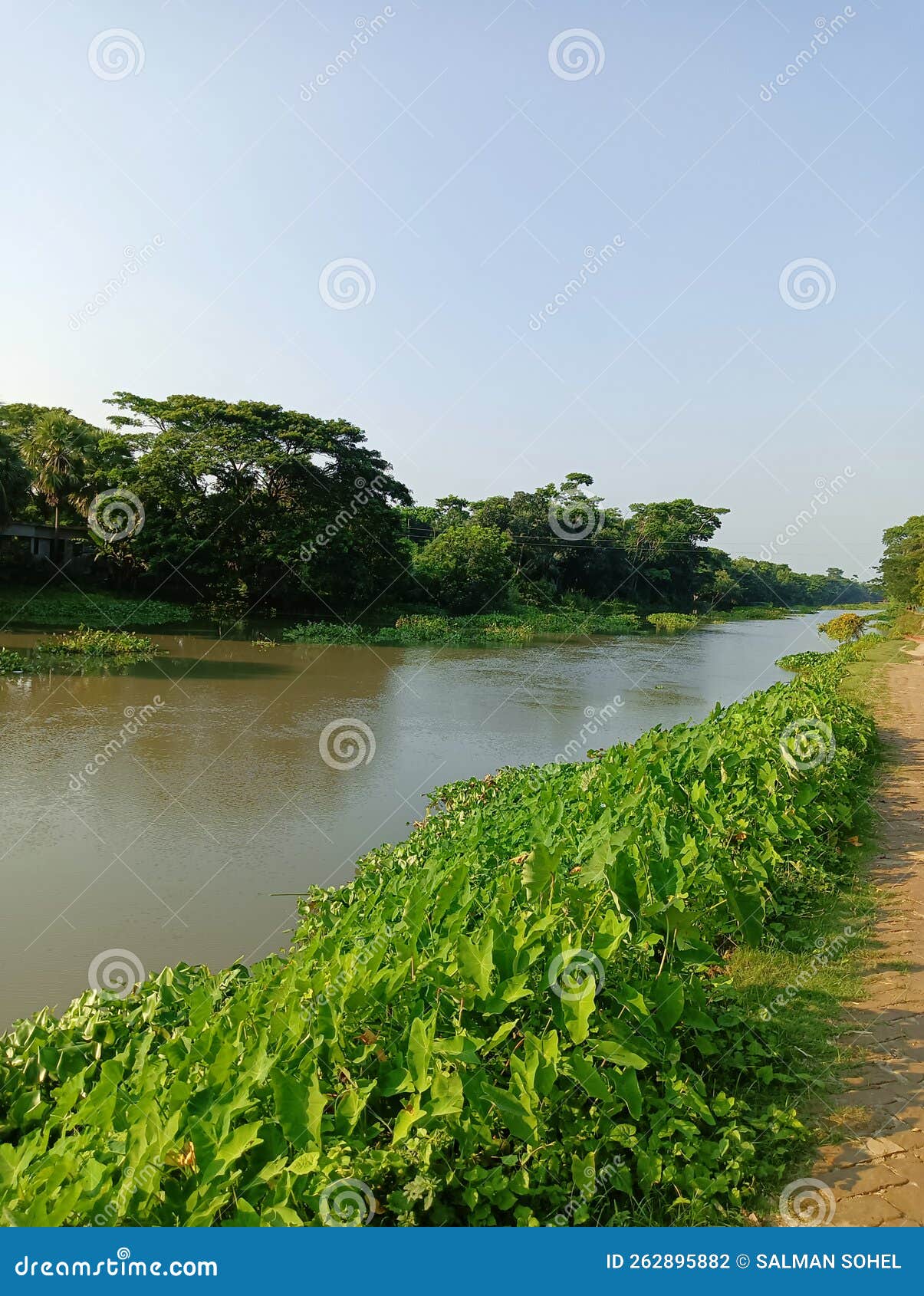 Natural Beautiful View in River Side Stock Photo - Image of waterway ...