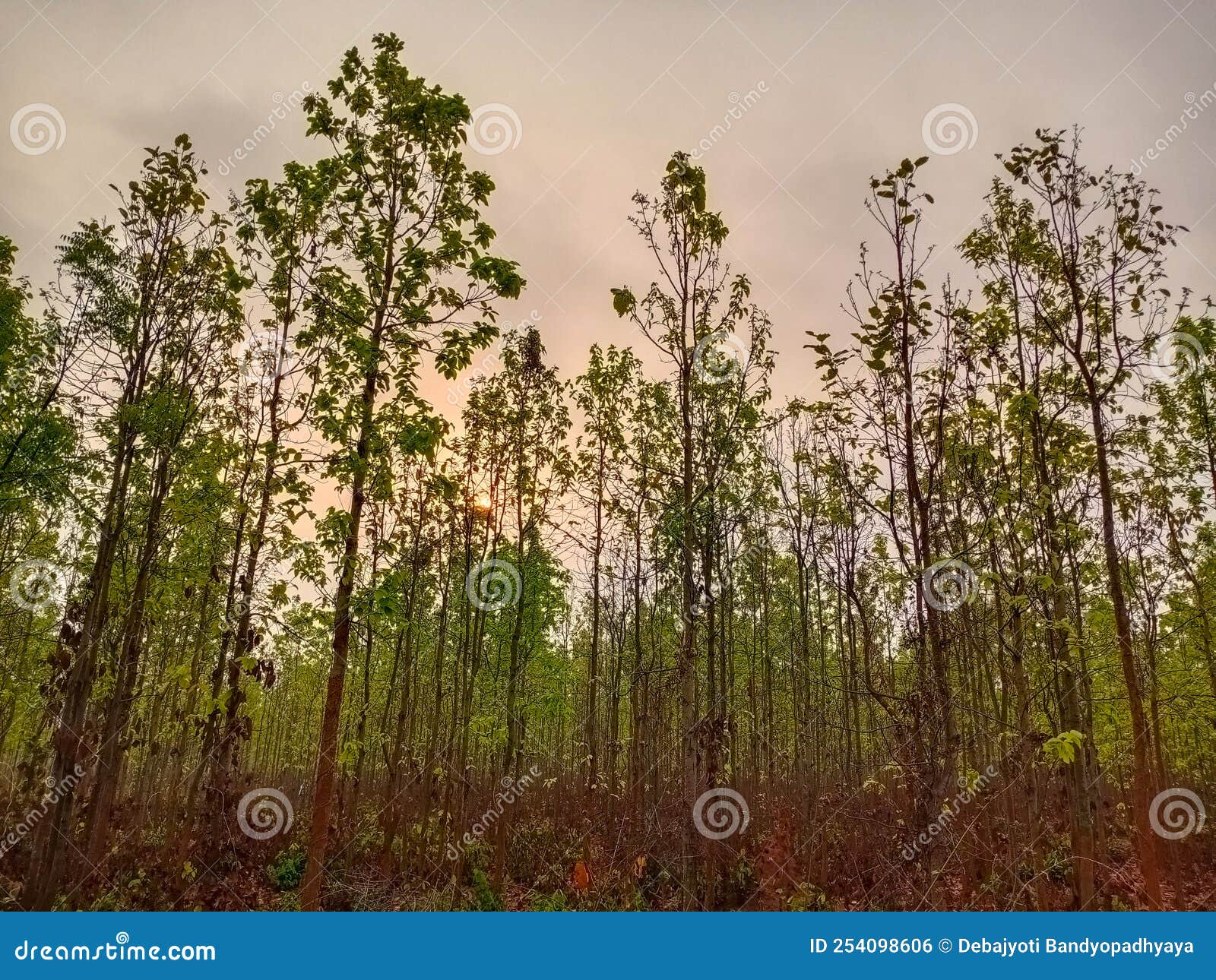 Natural Beauty with a Excellent View Stock Photo - Image of prairie ...