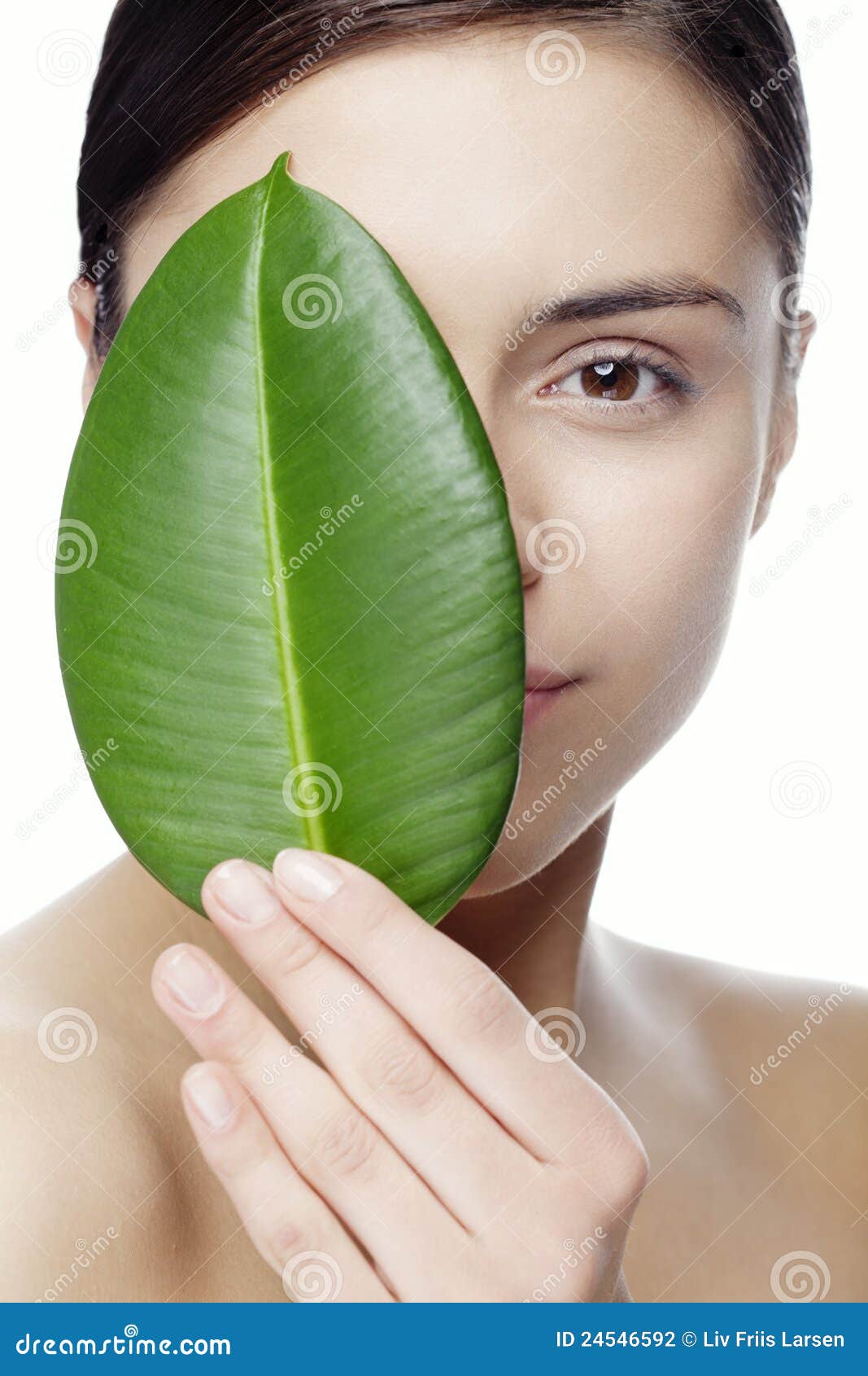 Natural beauty face stock photo. Image of portrait, makeup - 24546592