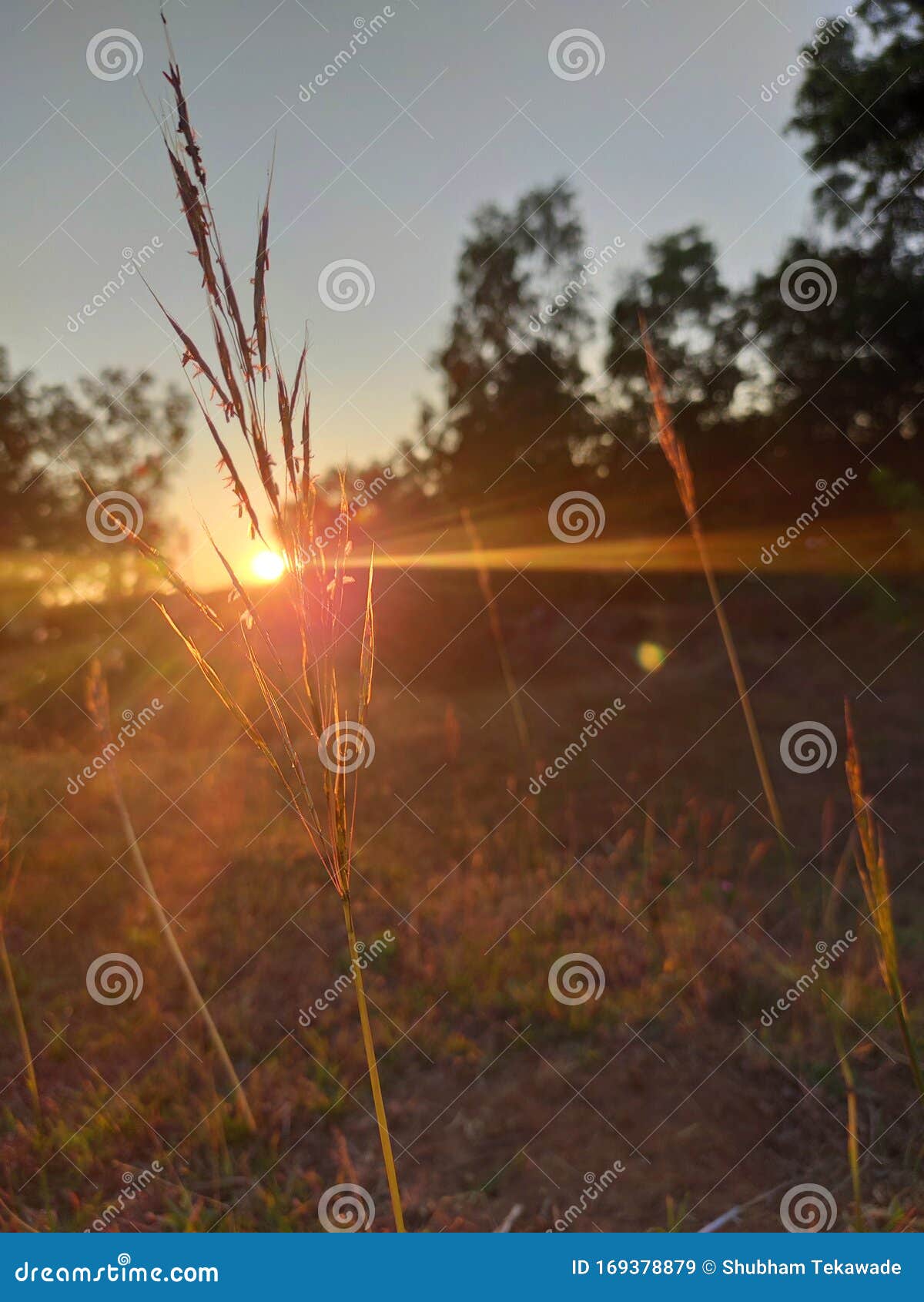 Natural Beauty Good Morning Scenes Stock Image - Image of good, natural ...