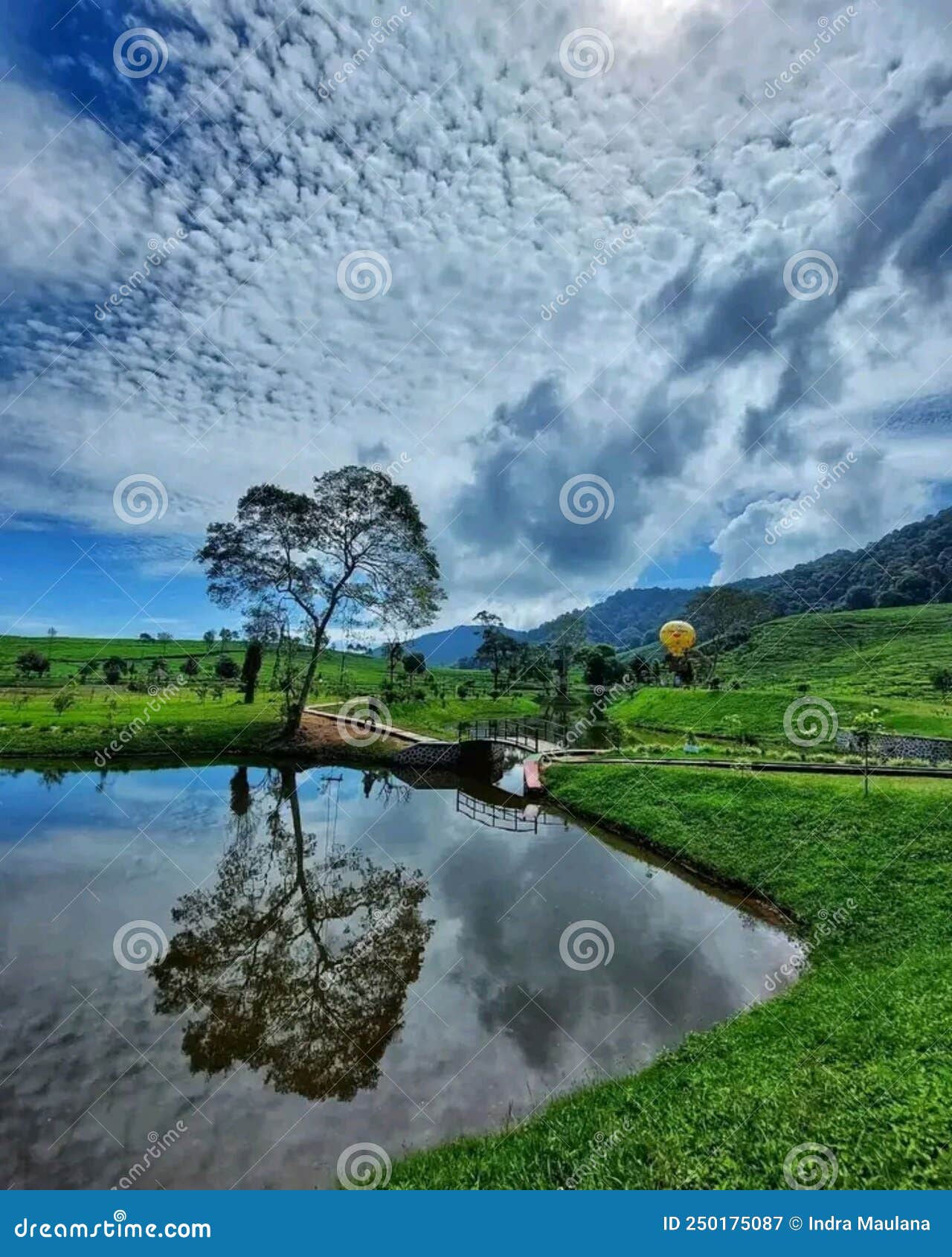 The Natural Beauty of the Meadows and Water Stock Image - Image of ...