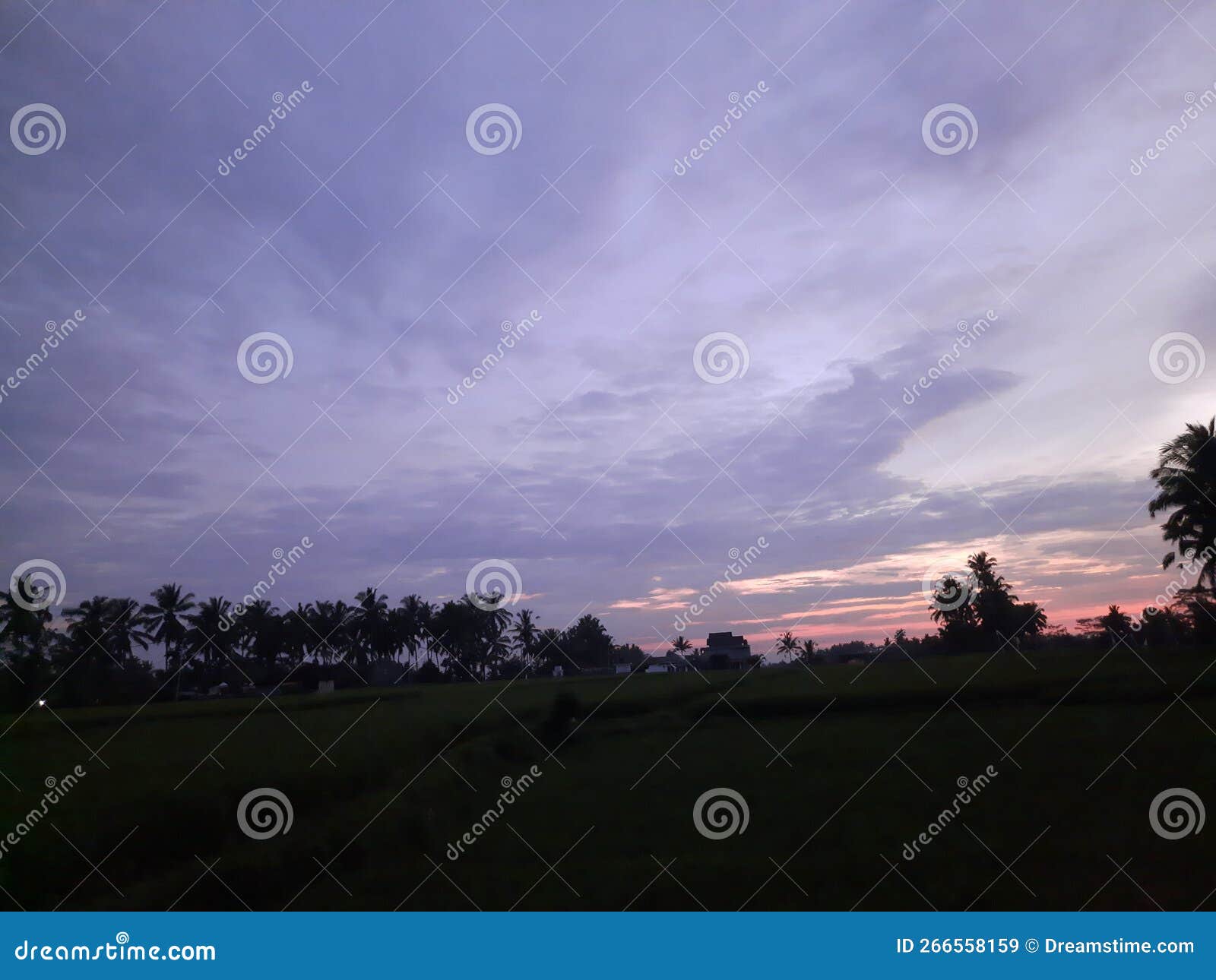 The Natural Beauty of Nature at Dusk Stock Image - Image of nature ...
