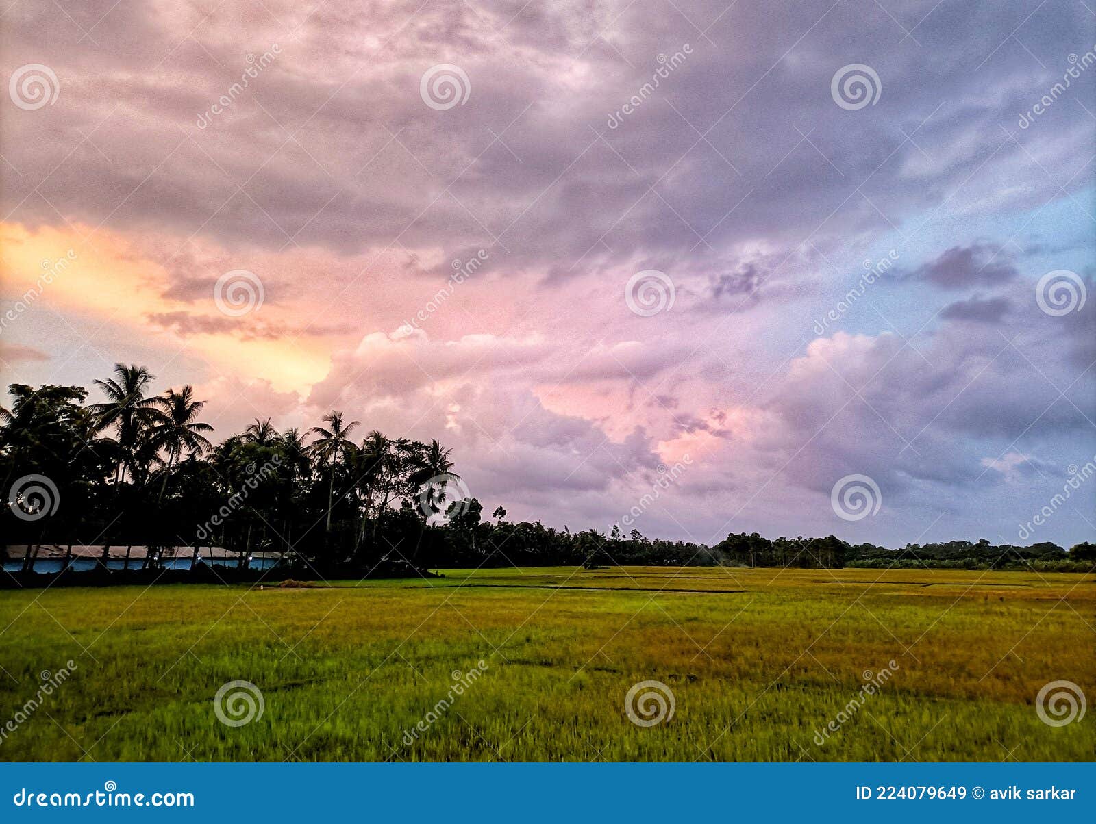 Natural Beauty of Nature, Evening Stock Image - Image of evening, tree ...
