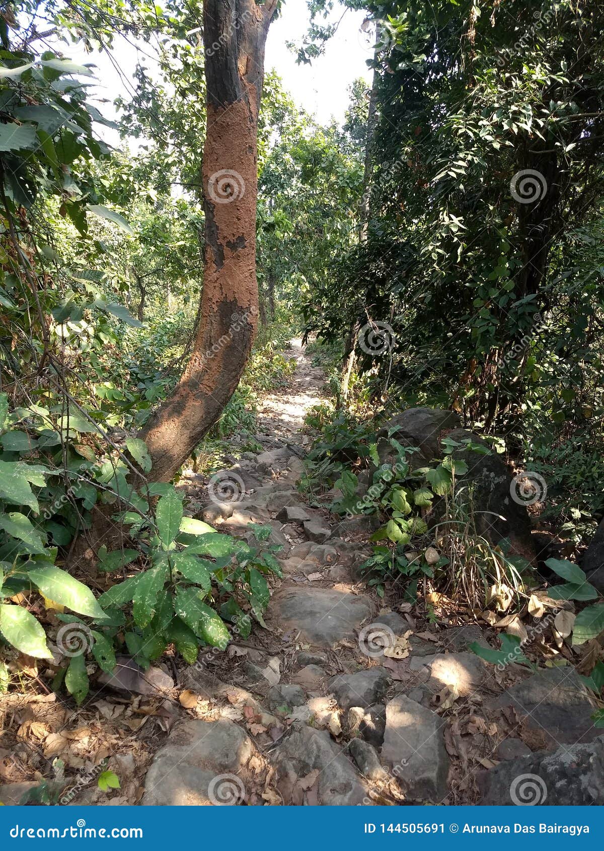 Natural beauty stock image. Image of beauty, hill, natural - 144505691