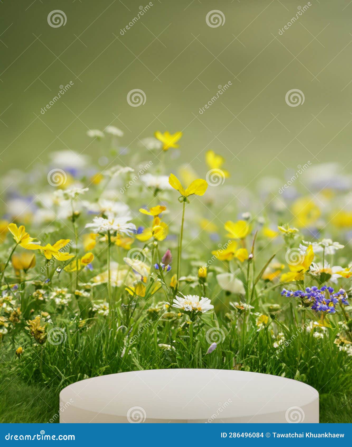 Natural Beauty Podium Backdrop with Spring Flower Field Stock Photo ...