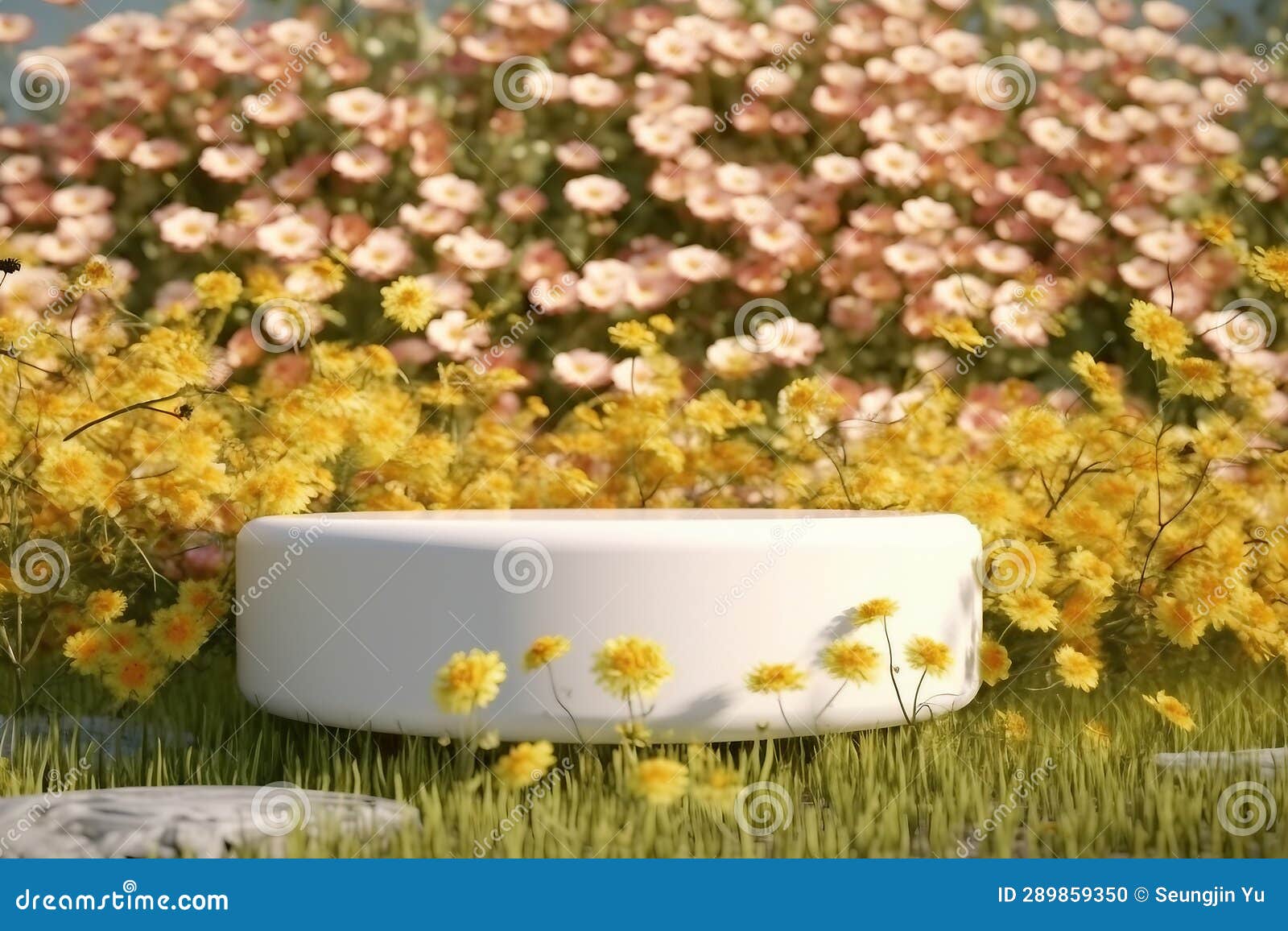 Natural Beauty Podium Backdrop with Spring Flower Field. 3d Rendering ...