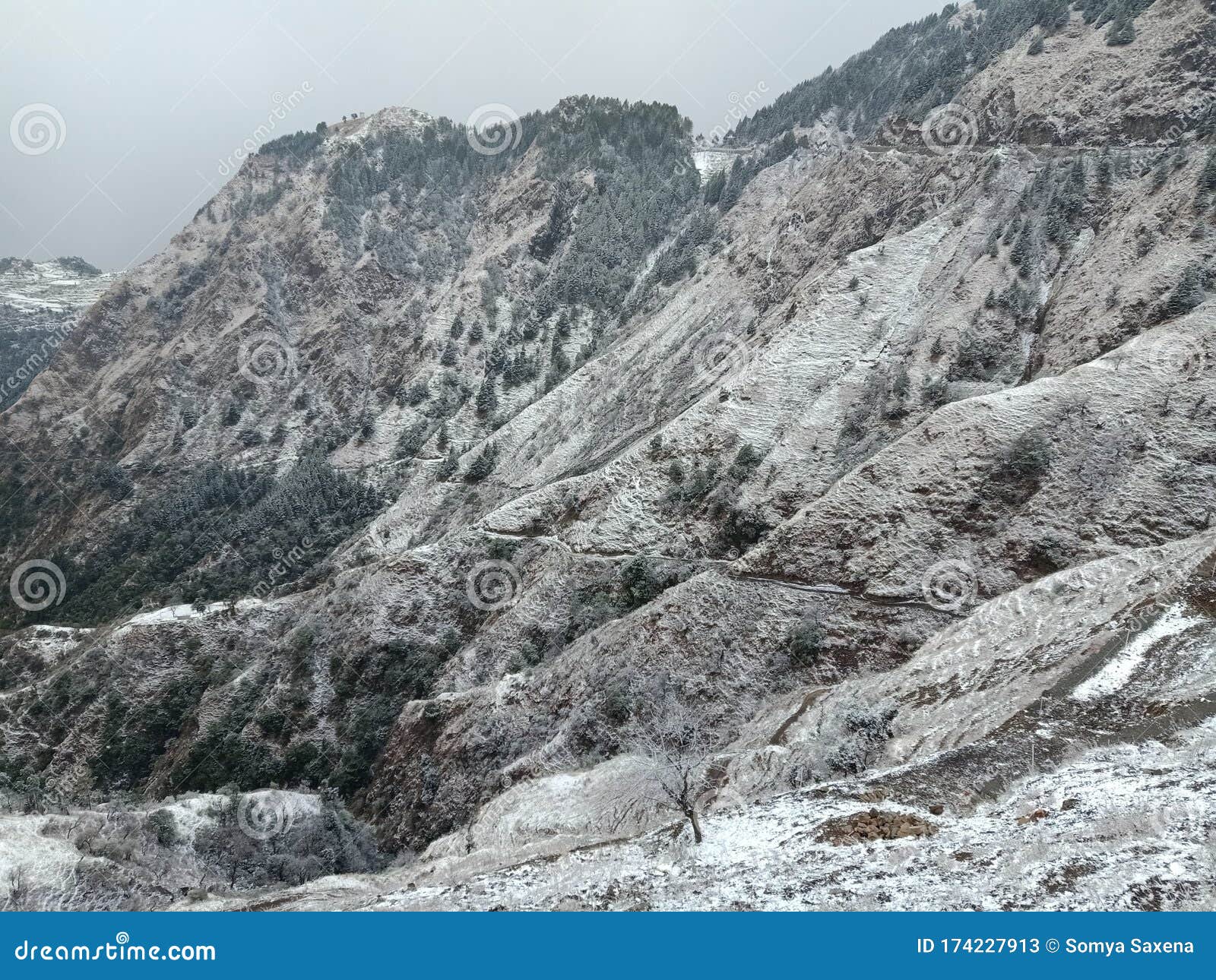 Natural Beauty after Snowfall Stock Image - Image of hills, dhanaulti ...