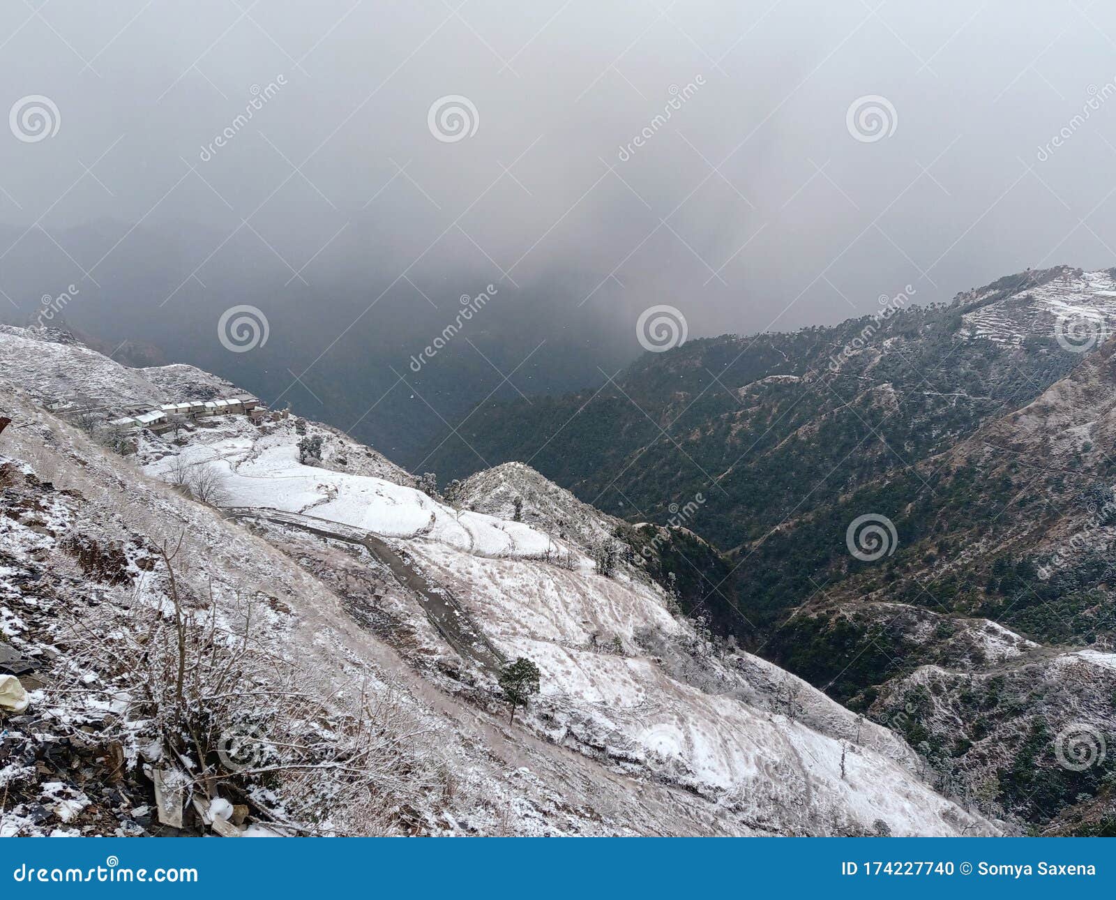 Natural Beauty after Snowfall Stock Photo - Image of solo, nature ...
