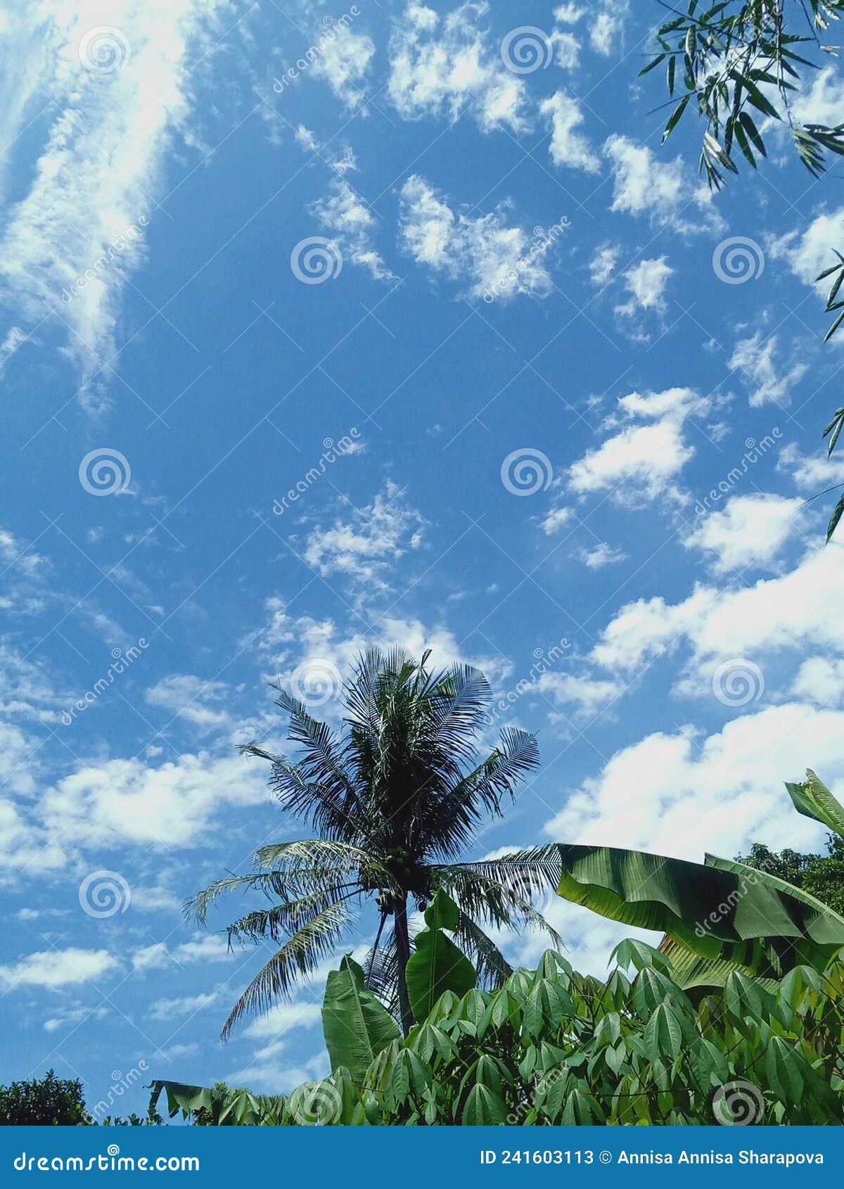 The Natural Beauty is Very Extraordinary and Amazing Stock Image ...