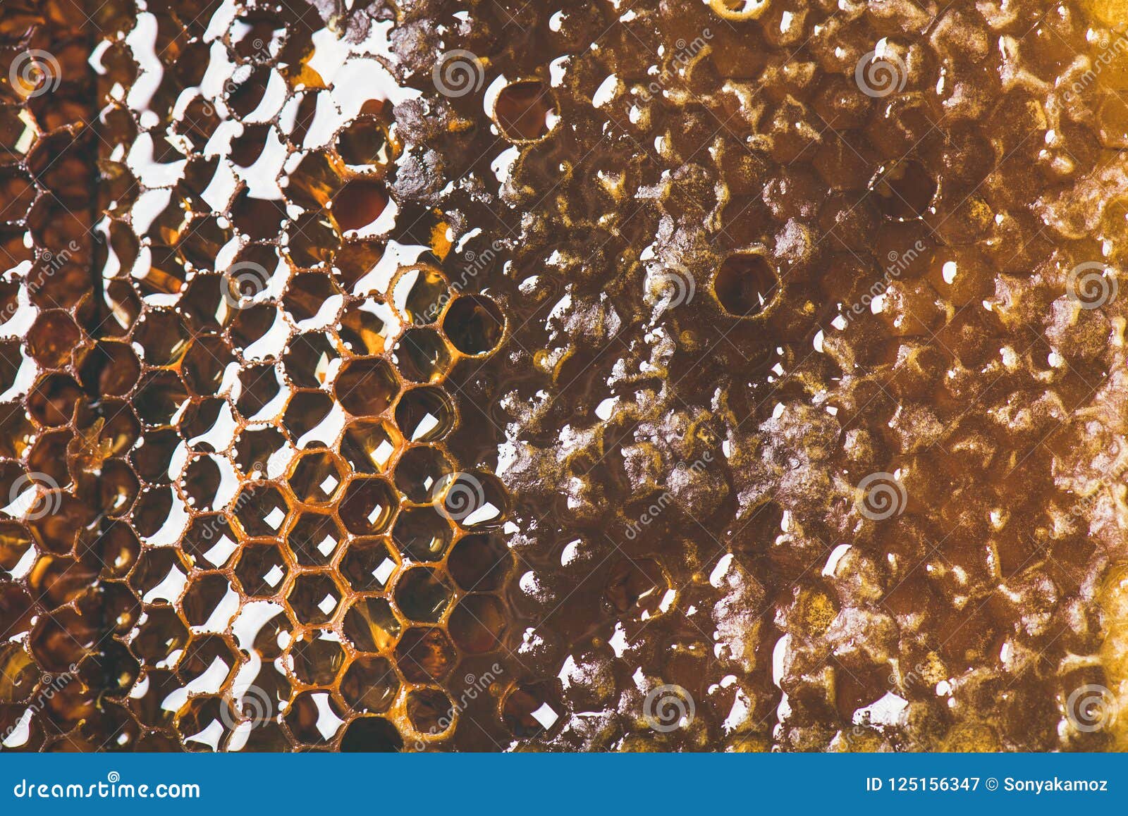 Natural Bee Honeycomb Texture, Wallpaper and Background Stock Image ...