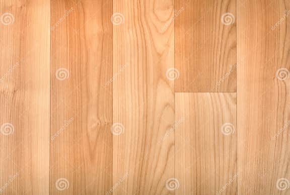 Natural beech texture stock photo. Image of effects, photographic ...