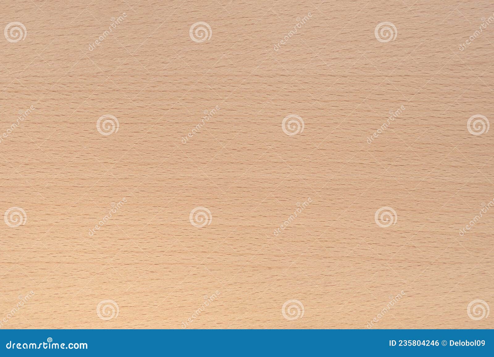 Natural Beech Veneer Wood Texture, Background Pattern. Stock Photo ...