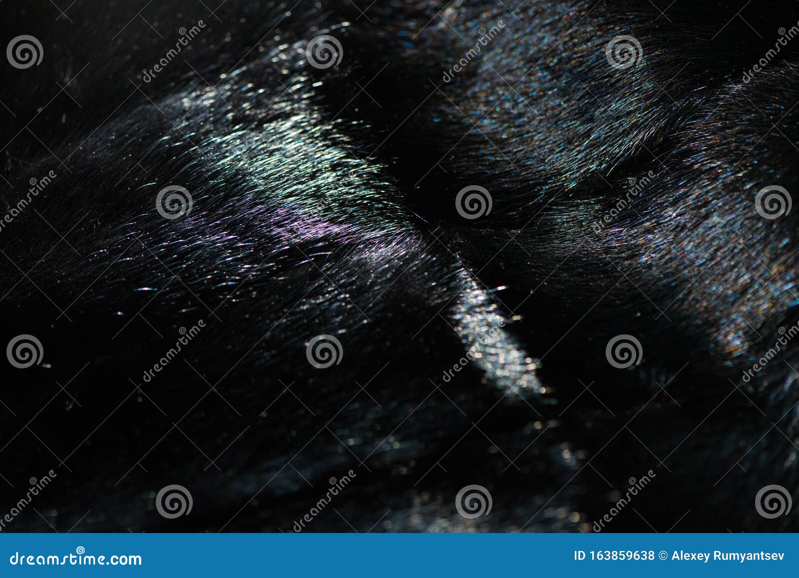 Natural Black Mink Leather Surface Stock Photo - Image of exotic ...