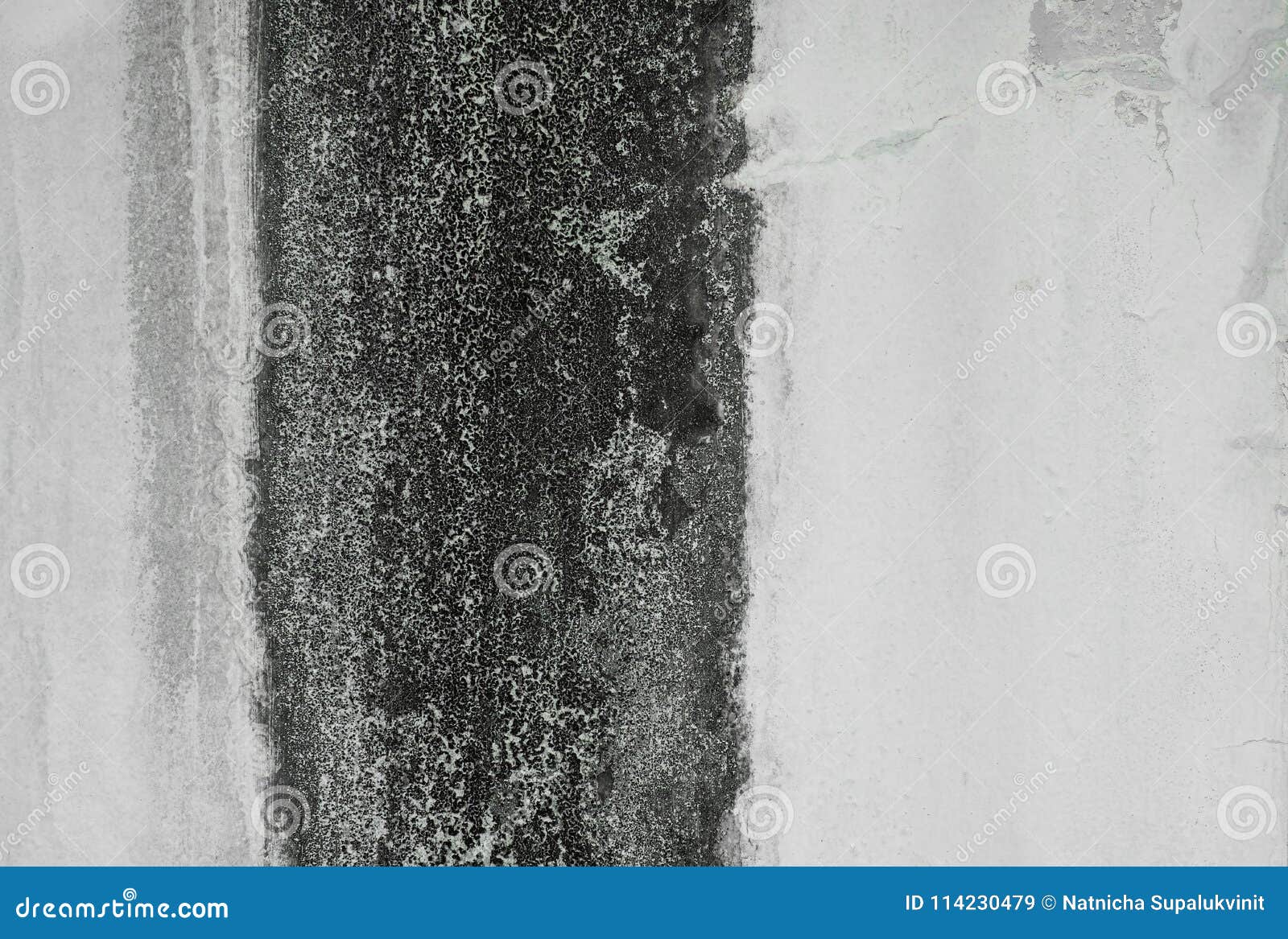 Natural Black Mold or Algae Texture on White Cement Wall Background ...