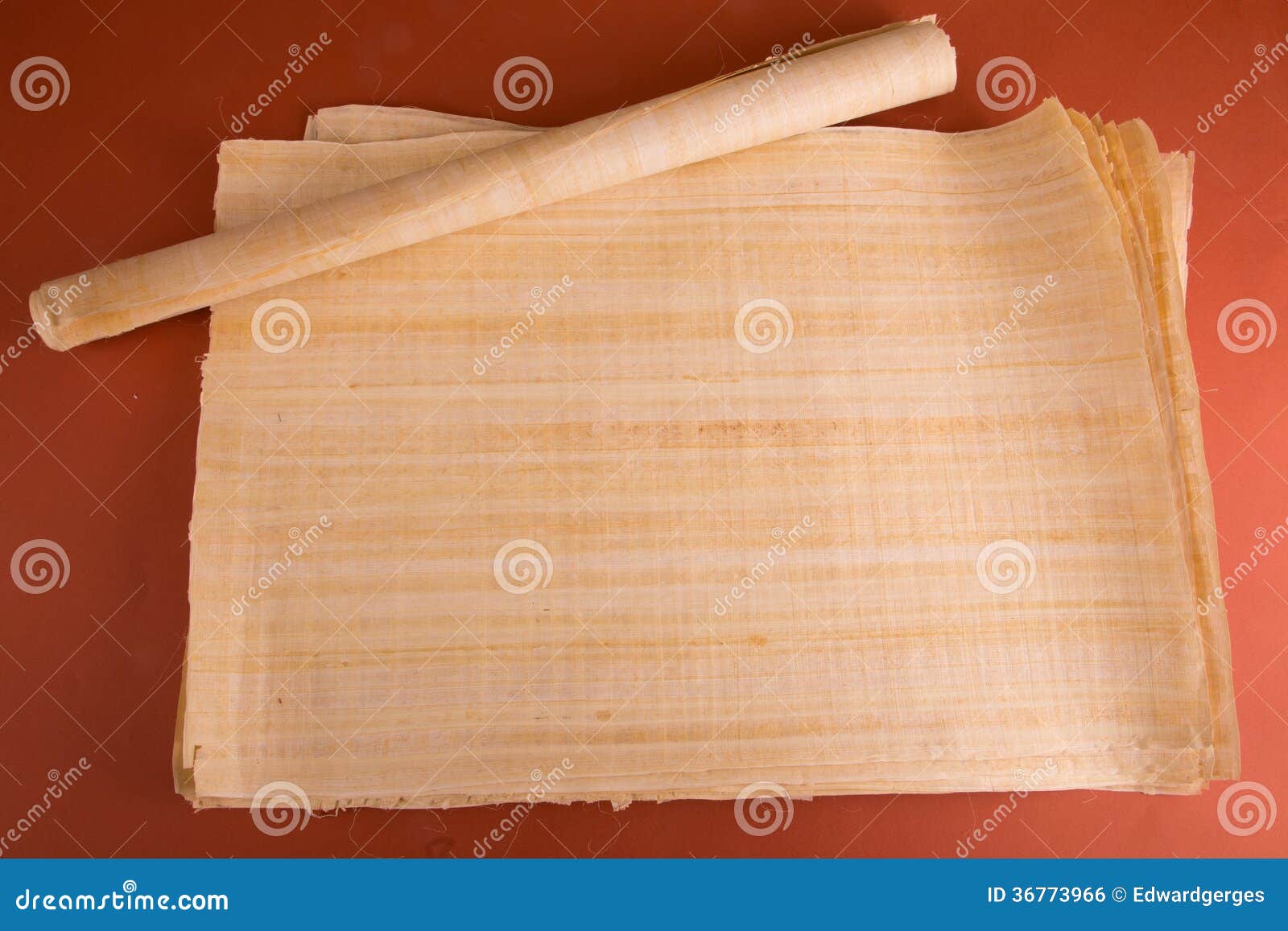 Natural Blank Egyptian Papyrus Stock Photo - Image of handmade, egypt ...