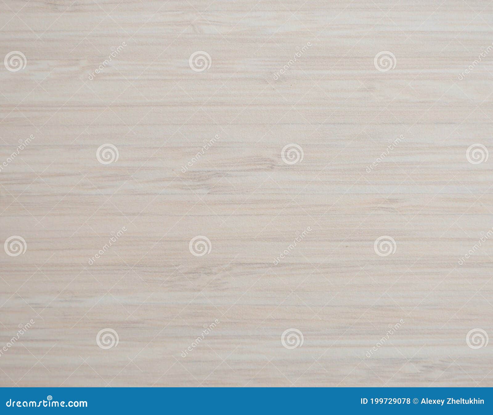 Natural Bleached Oak, Wood Texture with a Rich Pattern, Close-up Stock ...