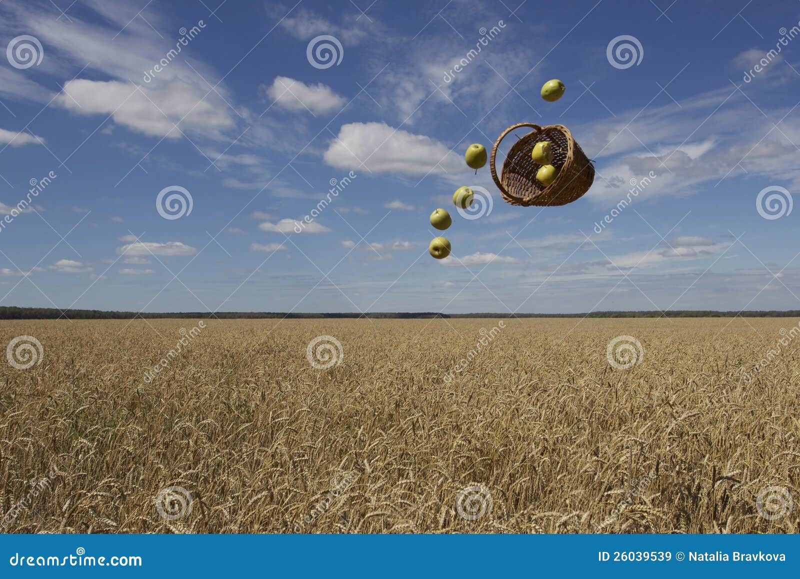 Natural blessings stock image. Image of apple, offer - 26039539