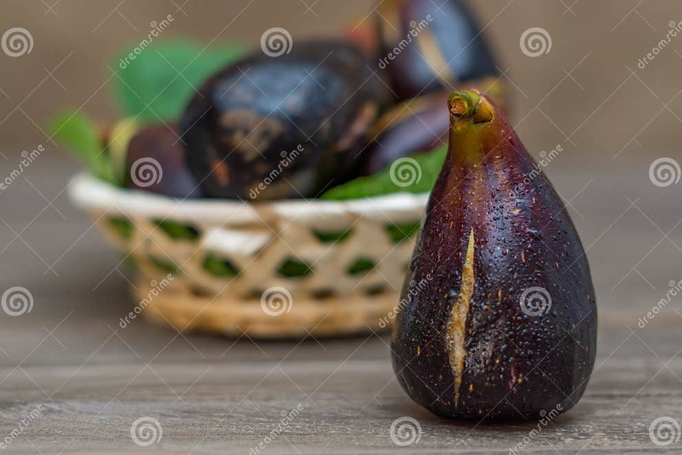 Organic Breba Picked from the Tree Stock Photo - Image of green, sweet ...