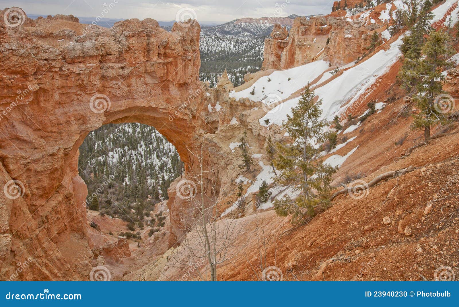 Natural Bridge in Bryce Canyon, Utah Stock Photo - Image of geologic ...