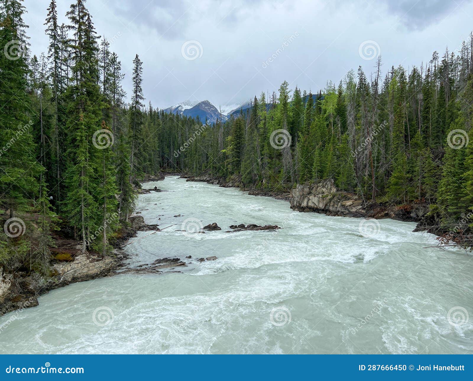 Natural Bridge Falls in Yoho National Park Stock Photo - Image of ... Natural Bridge Falls in Yoho National Park Stock Photo - Image of ...