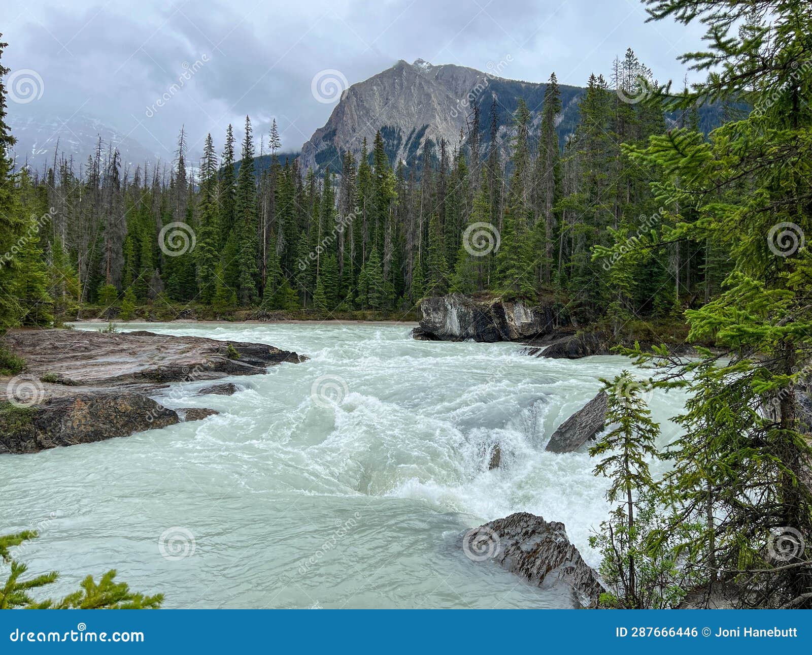 Natural Bridge Falls in Yoho National Park Stock Photo - Image of yoho ... Natural Bridge Falls in Yoho National Park Stock Photo - Image of yoho ...