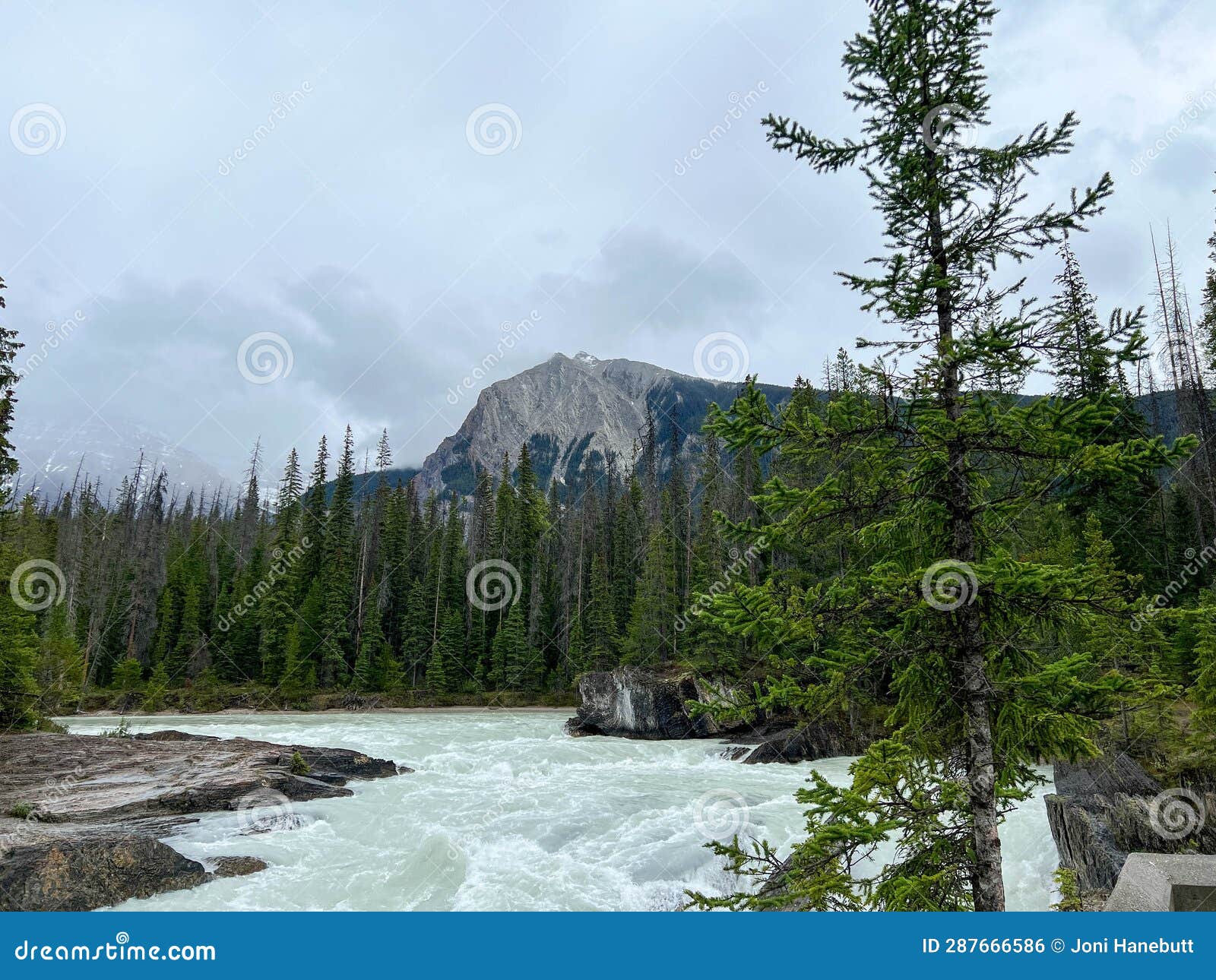 Natural Bridge Falls in Yoho National Park Stock Photo - Image of banff ... Natural Bridge Falls in Yoho National Park Stock Photo - Image of banff ...