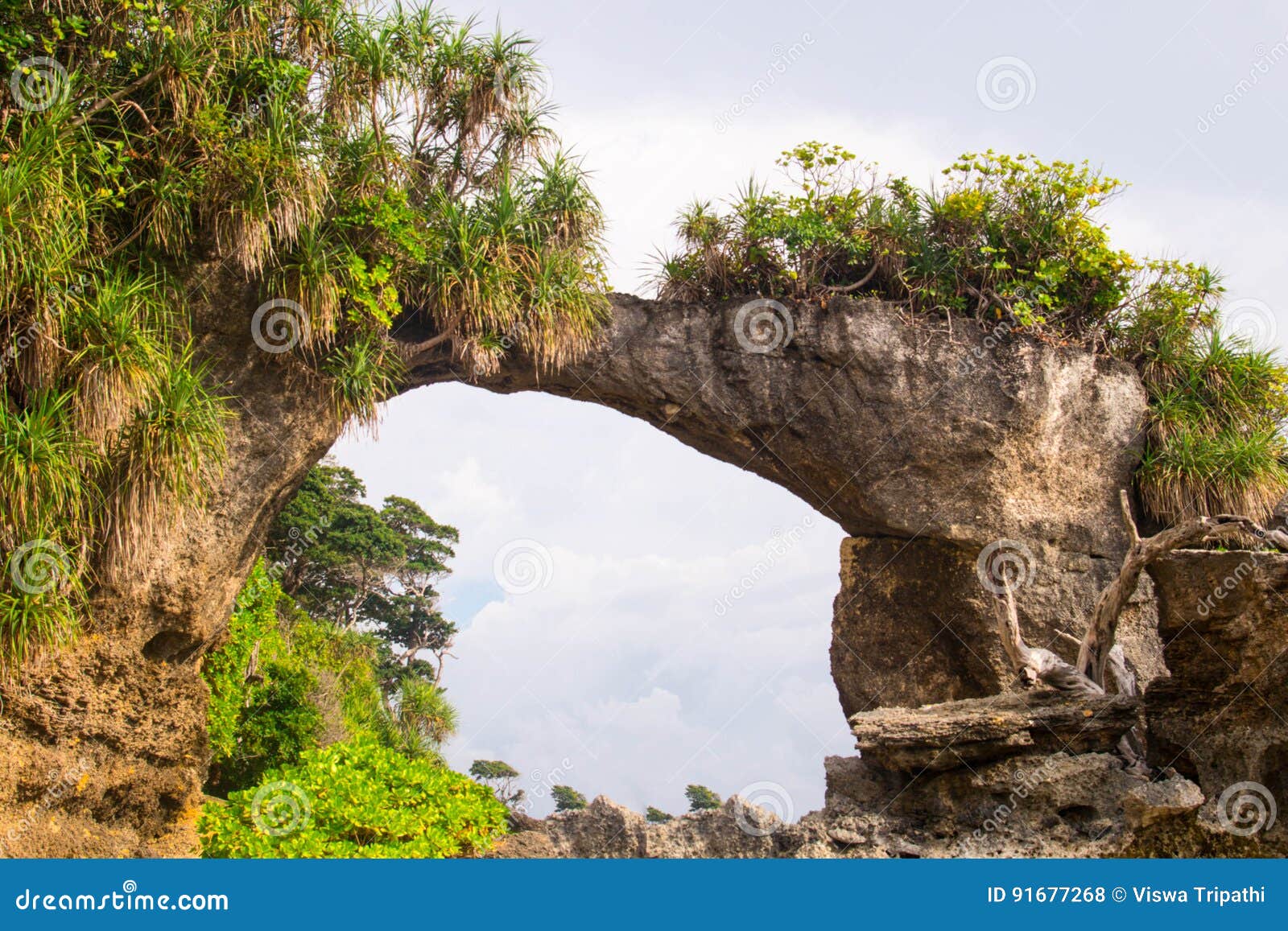 Natural Bridge at Neil Island Stock Photo - Image of cloudy, greenery ...