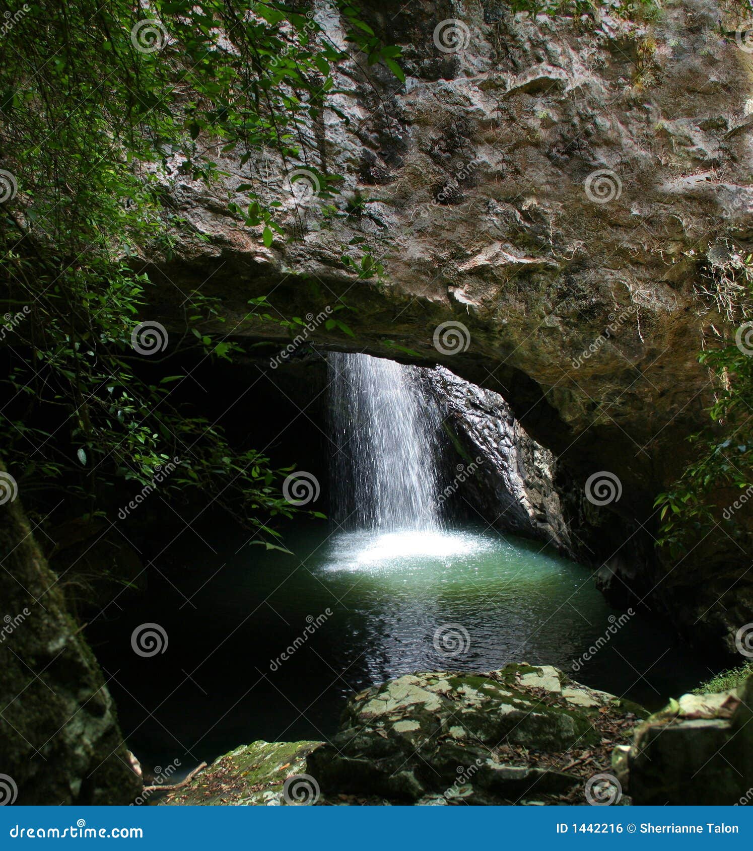 Natural Bridge, Queensland stock photo. Image of natural - 1442216