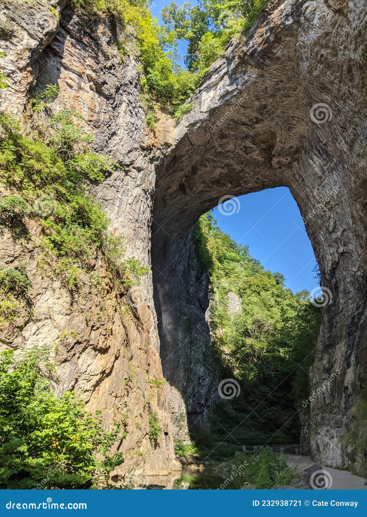 Natural bridge VA stock image. Image of plant, terrain - 232938721